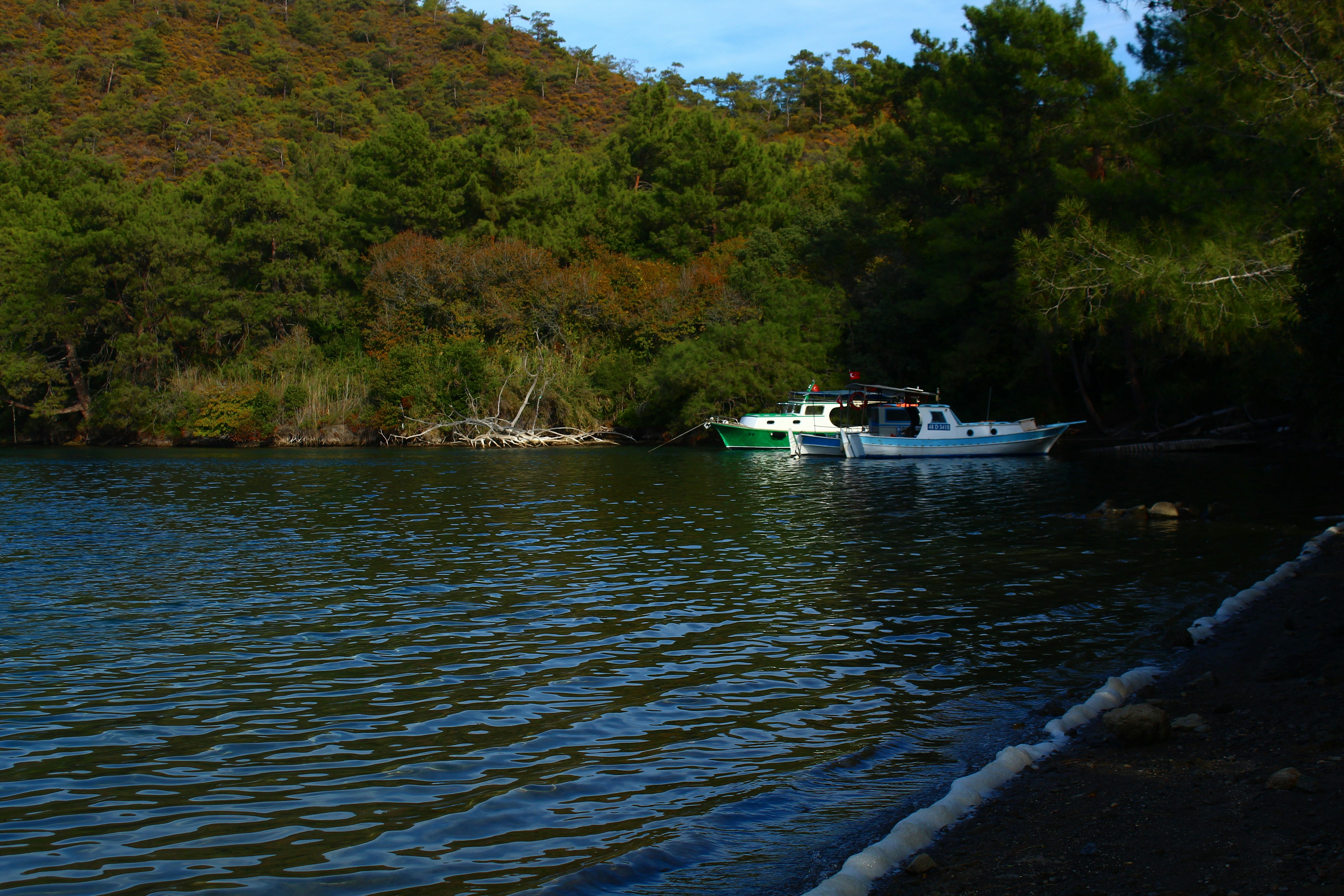 Moorings by the Pines: Green-and-White Motorboats Resting on a Quiet Lakeshore
