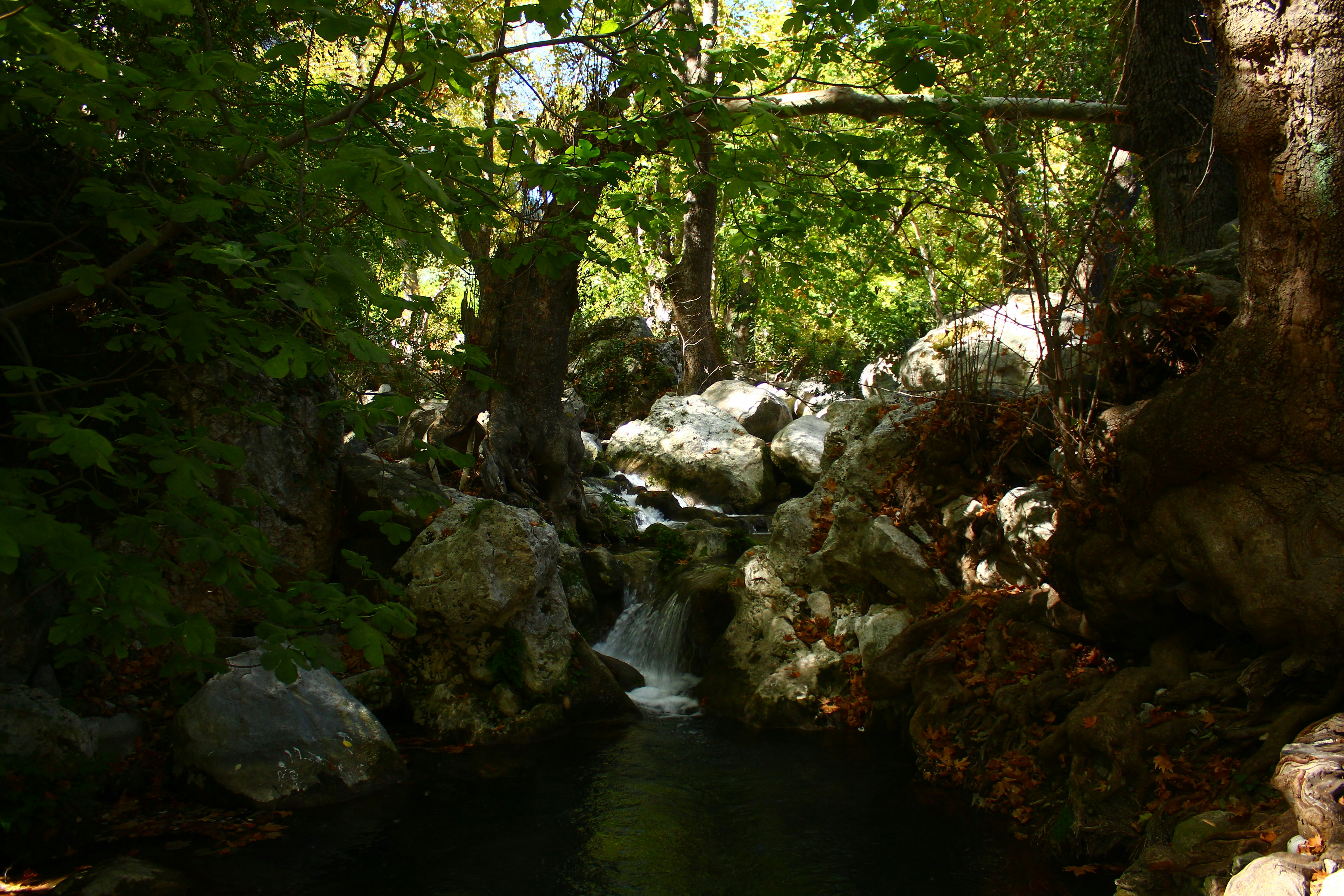 Turkey Nature Pictures | Download Free Images on Unsplash