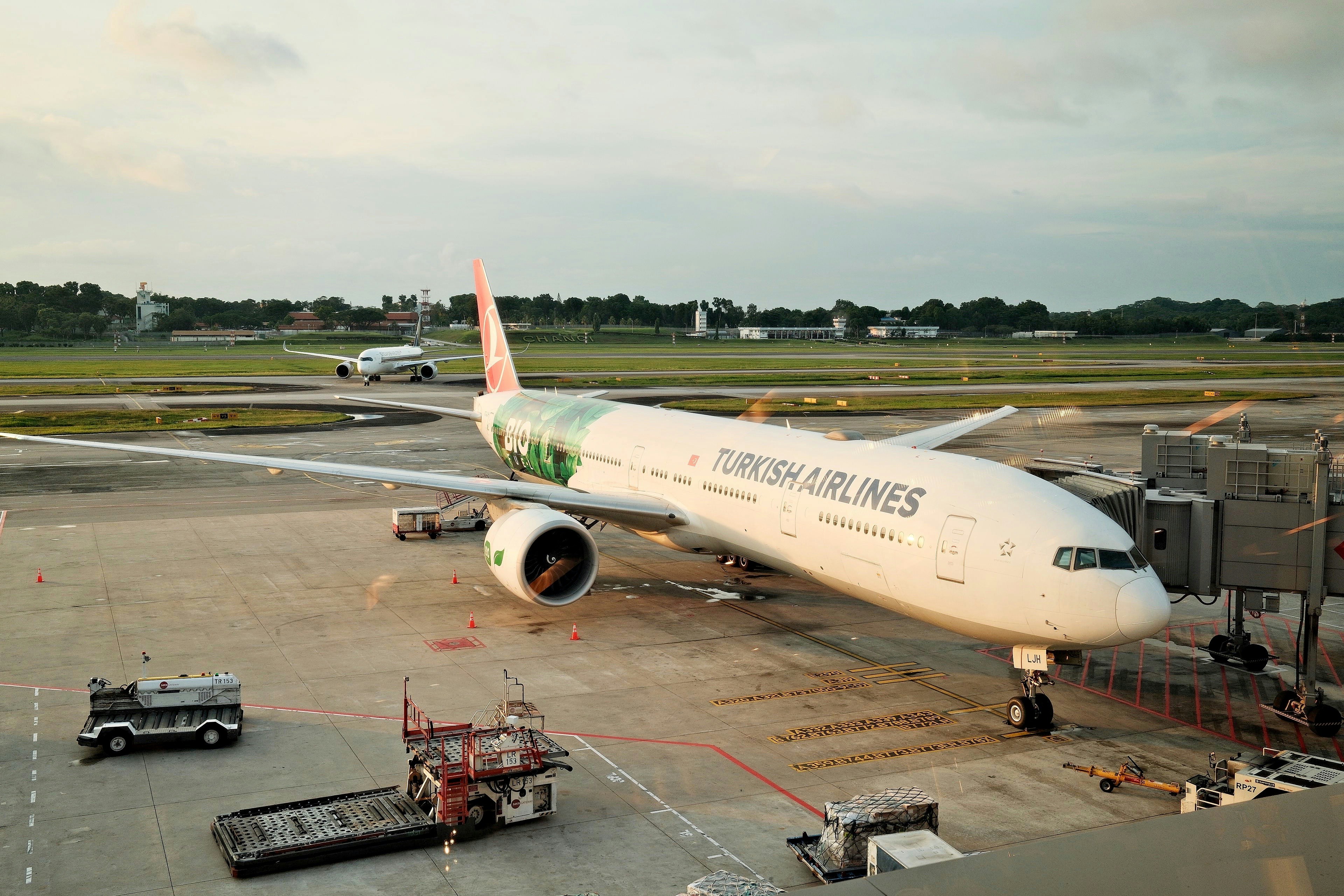 Turkish Airlines at the Gate: A Quiet Moment on the Tarmac