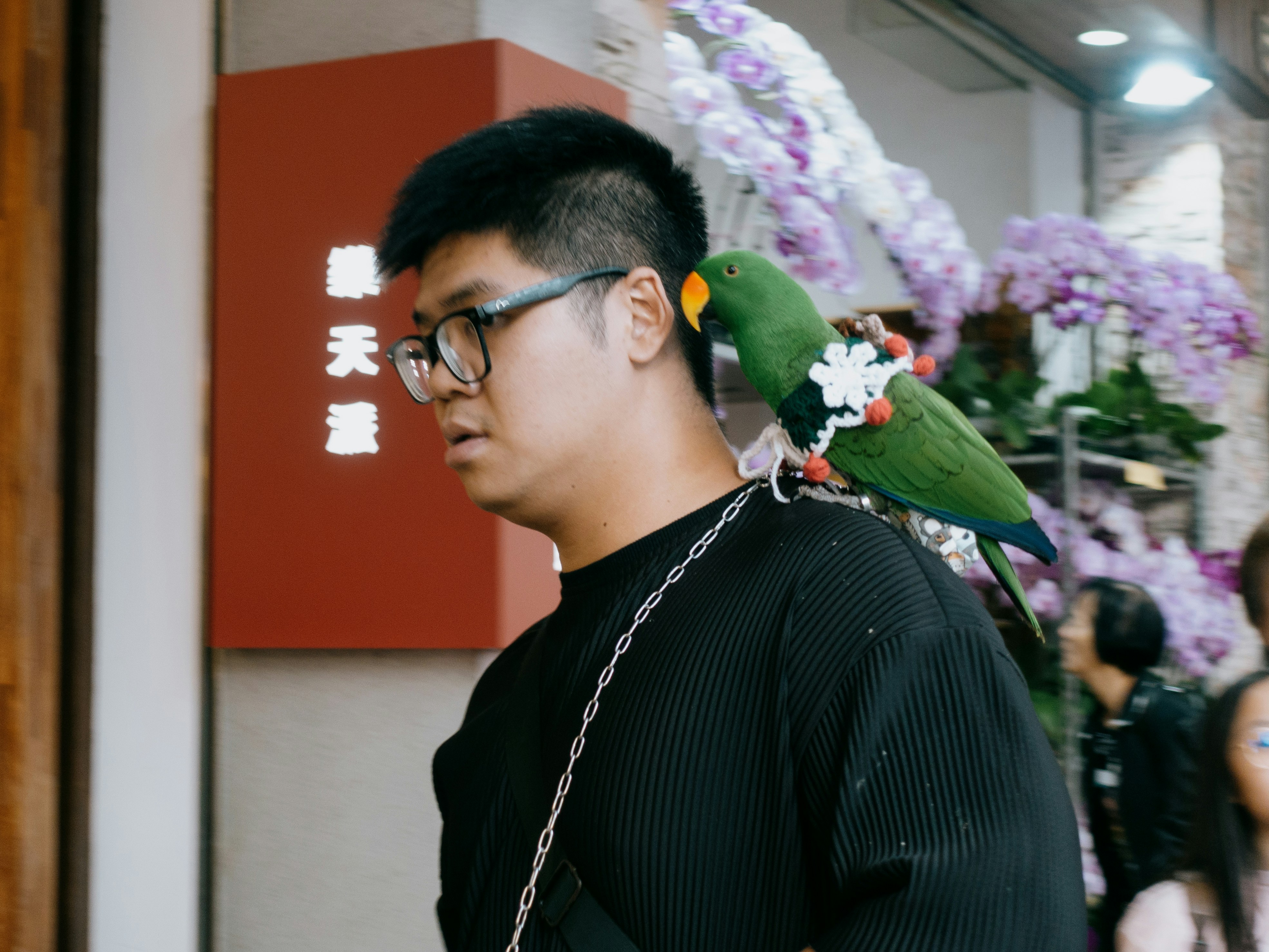 Parrot on a Shoulder Amid Urban Floral Backdrop