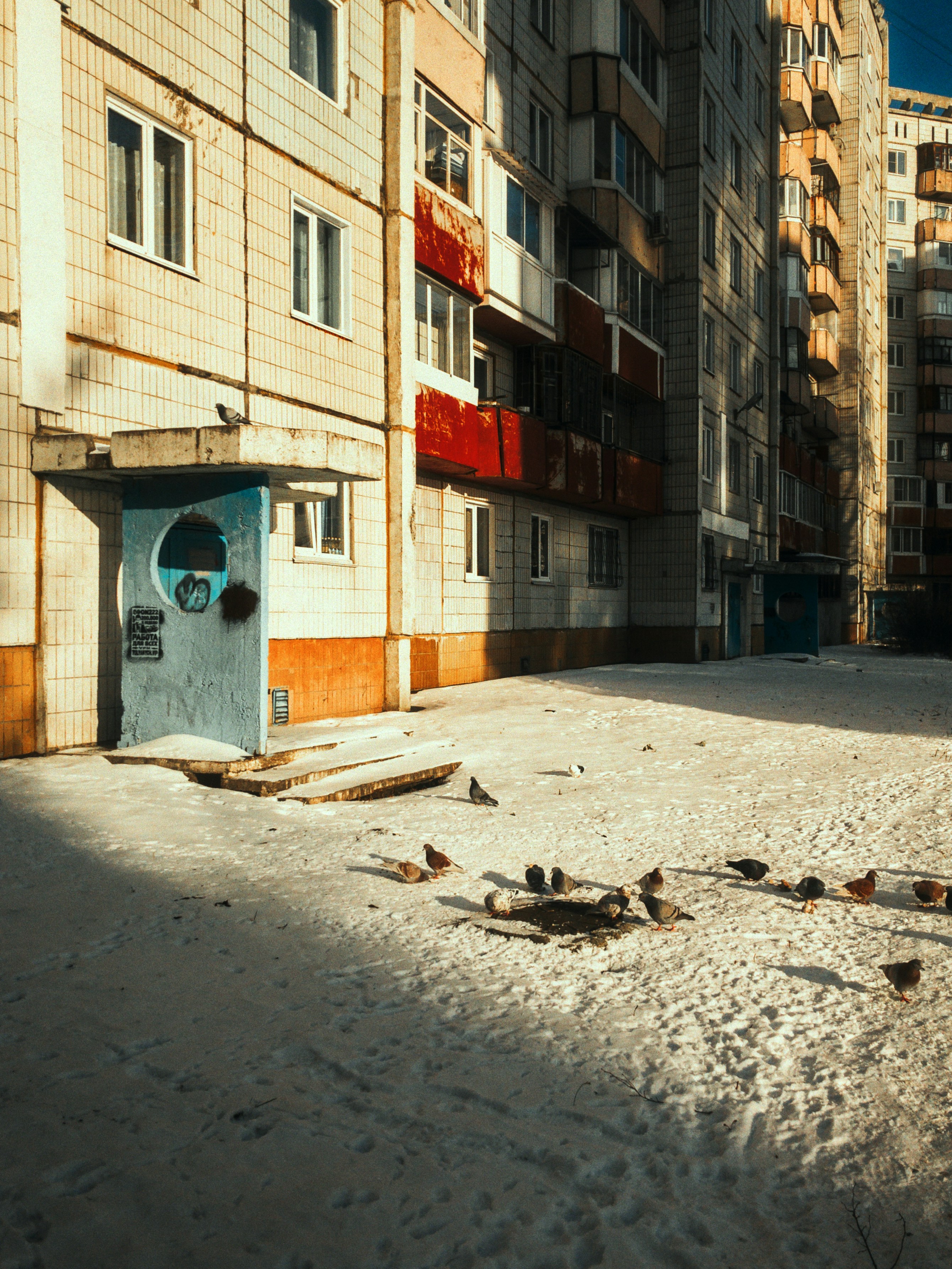 Blue Door in Winter Light: Pigeons and Snow by a Brick Block