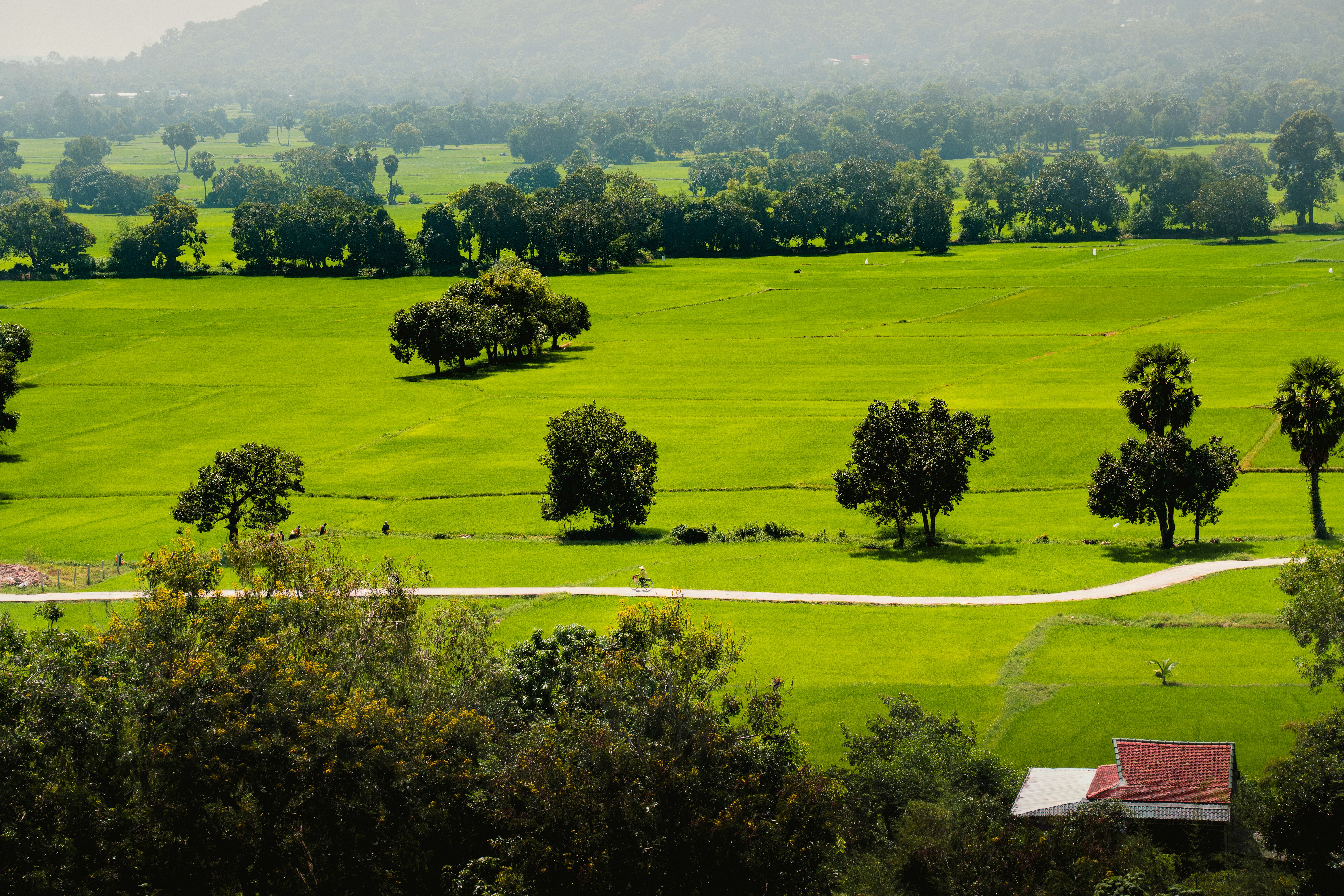 A lush green field surrounded by trees and mountains photo – Free ...