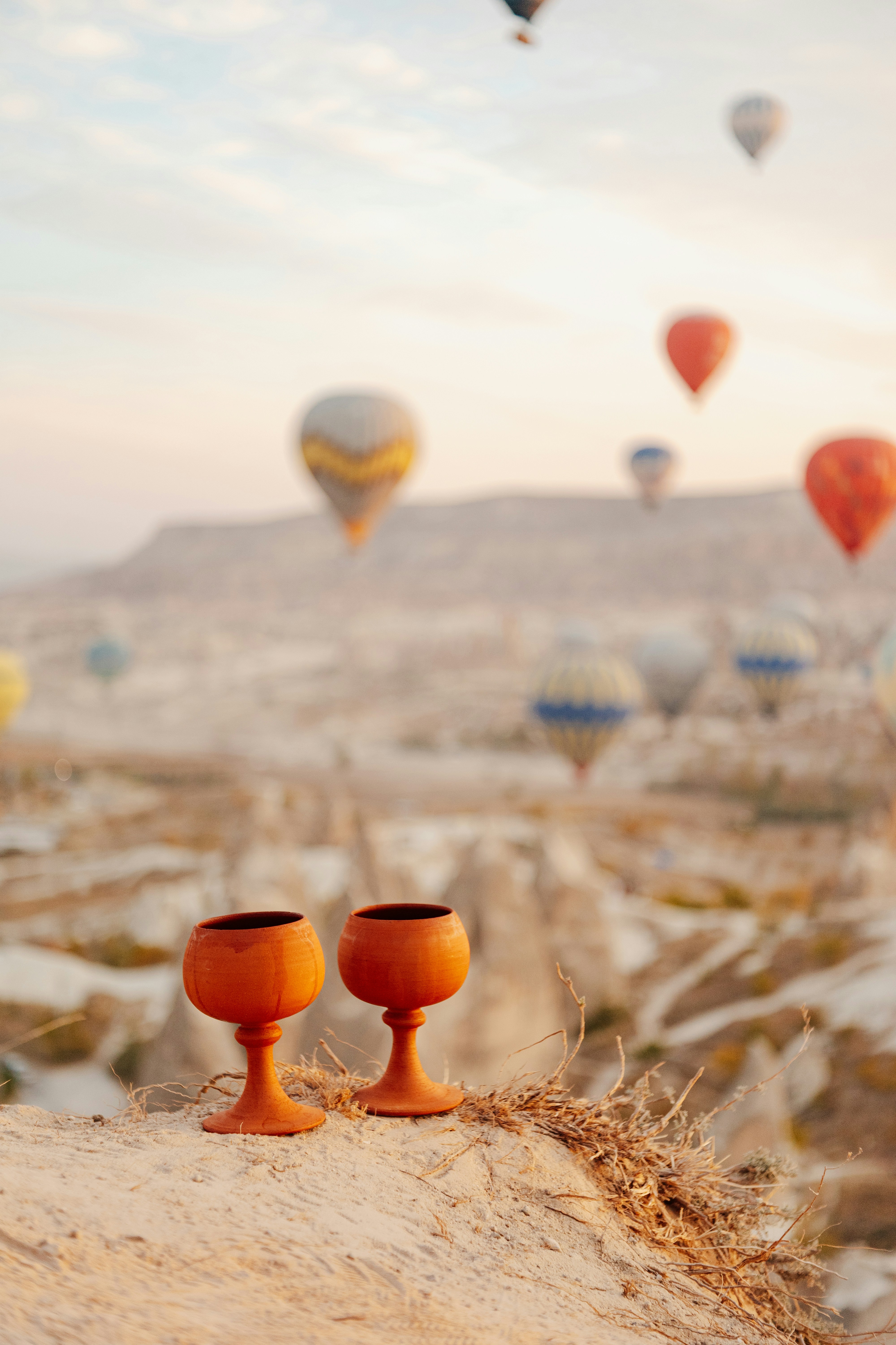 Elevated Serenity: Toasting Amidst the Skies