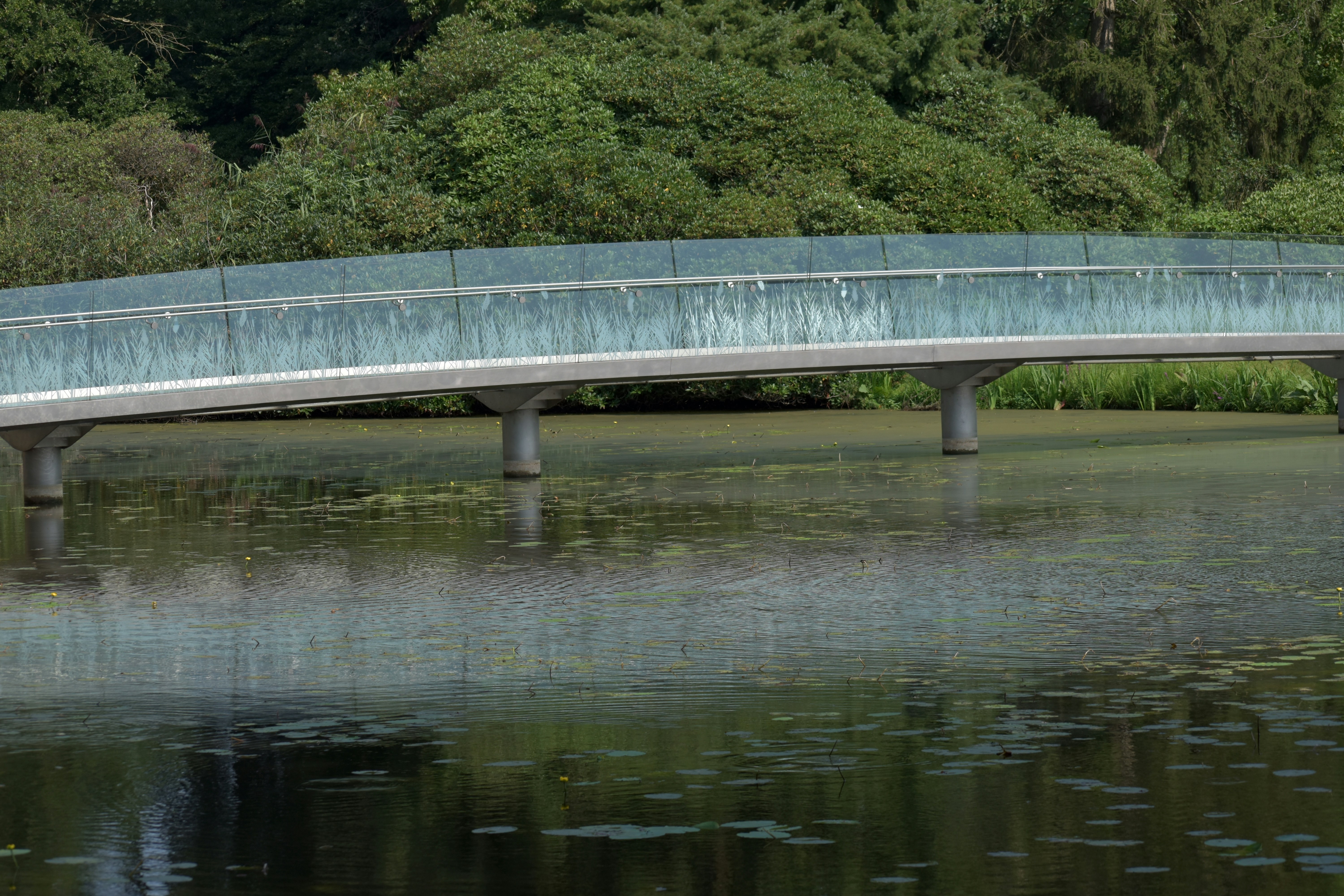 A pedestrian bridge (Modern architecture - crossing)