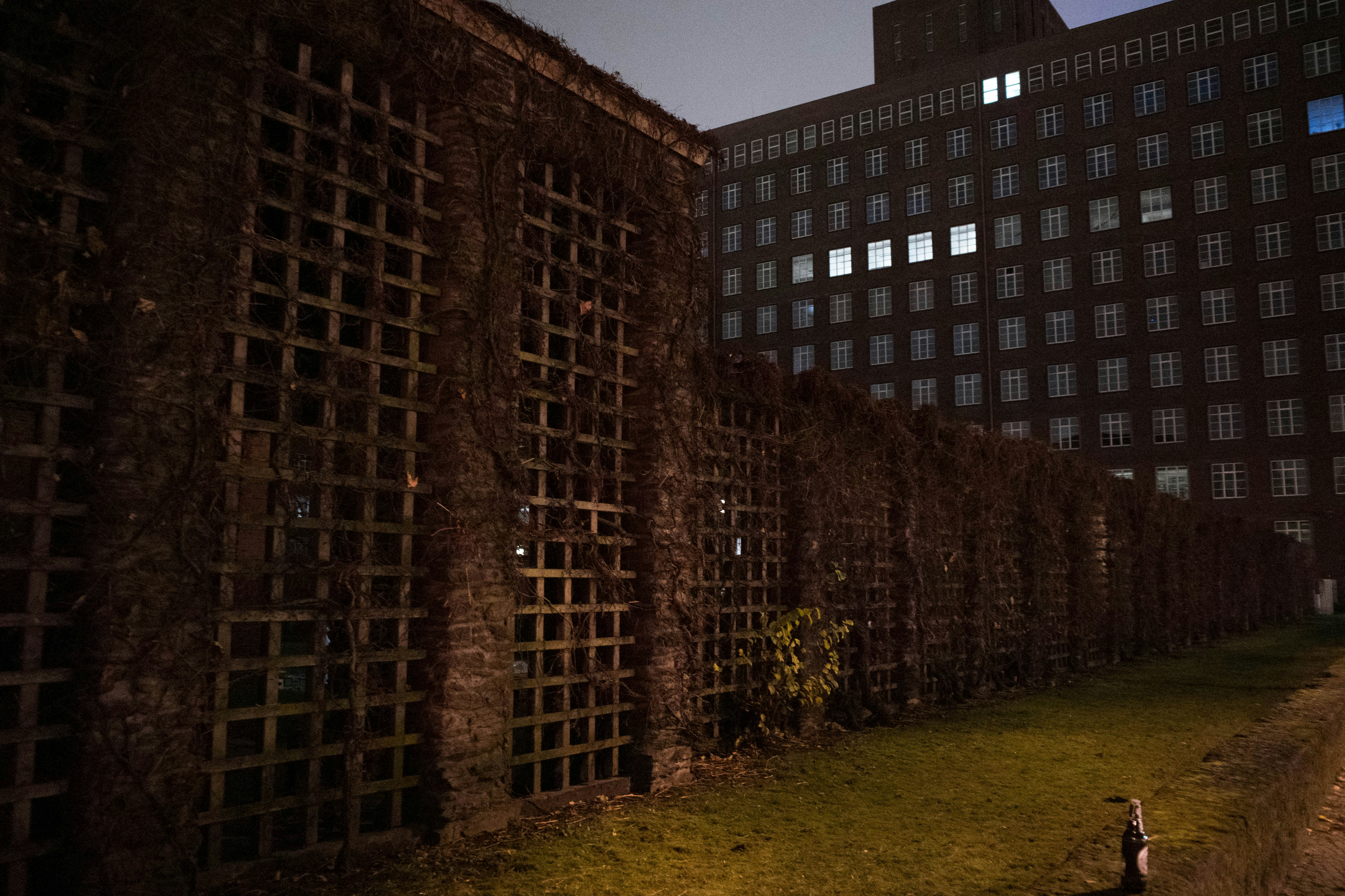 Lone Dog Statue Guarding the Ivy-Latticed Wall at Night
