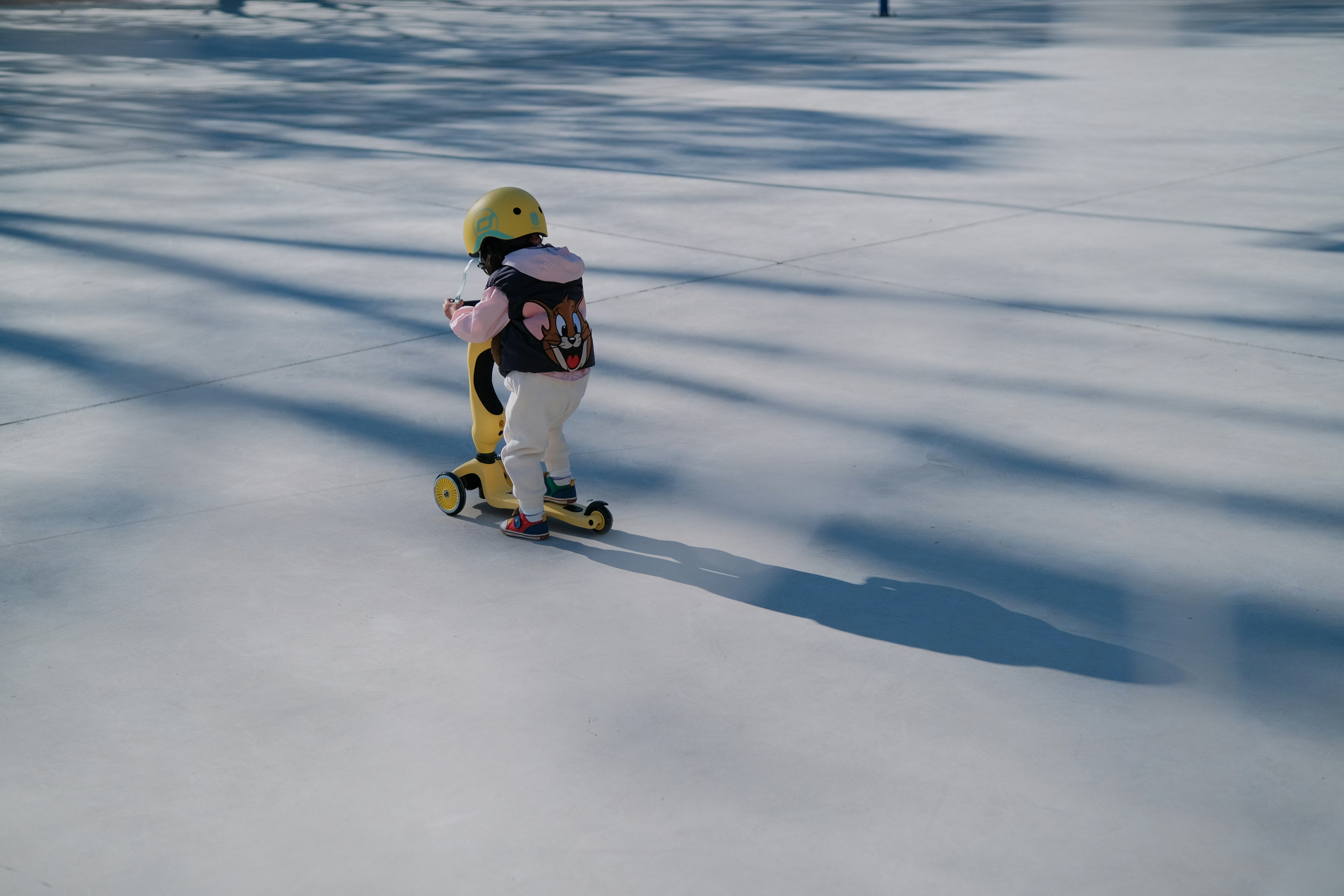Little Rider in a Winter Light