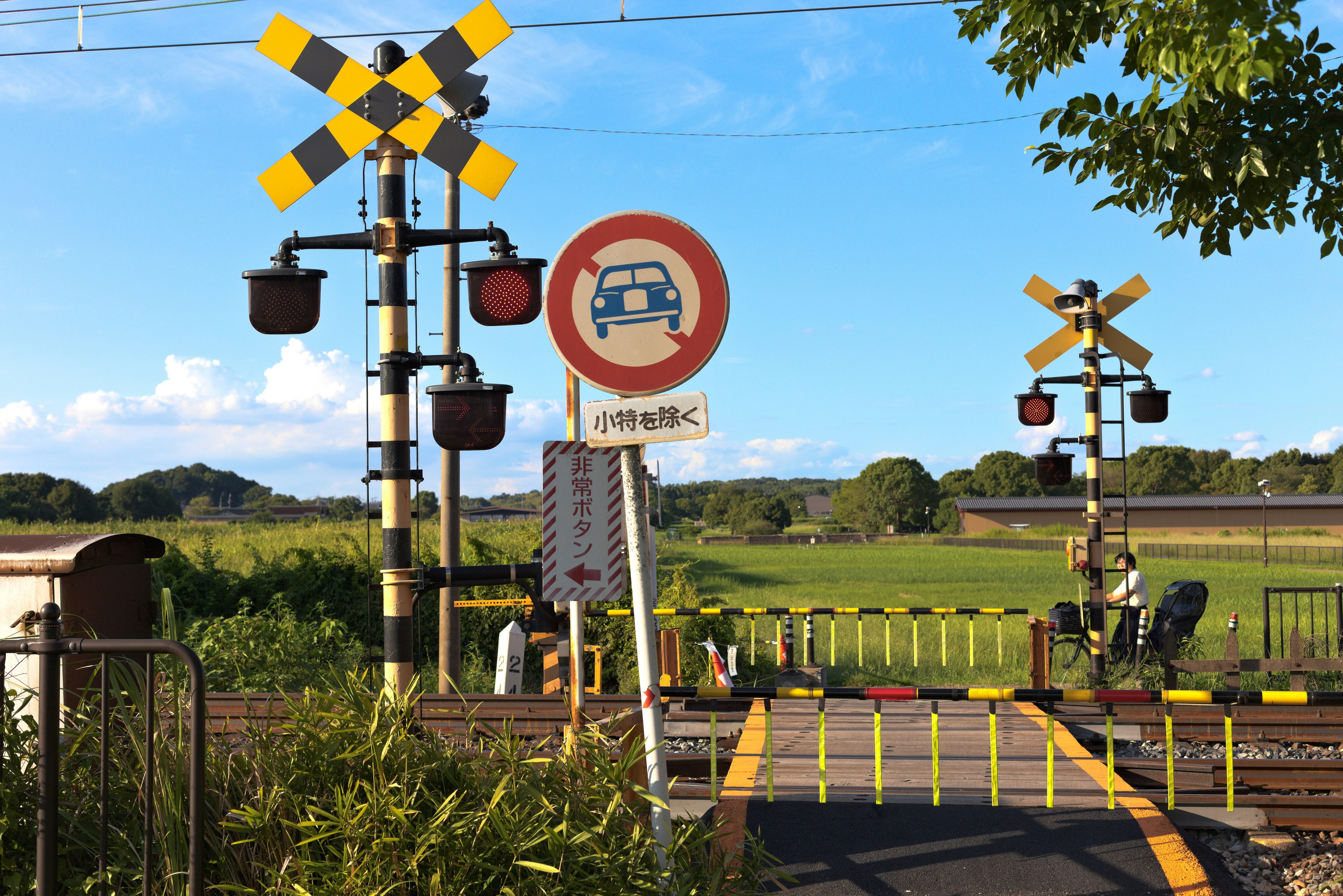 Sunlit Rural Crossing: Striped Poles, Crossbucks, and a No-Car Sign