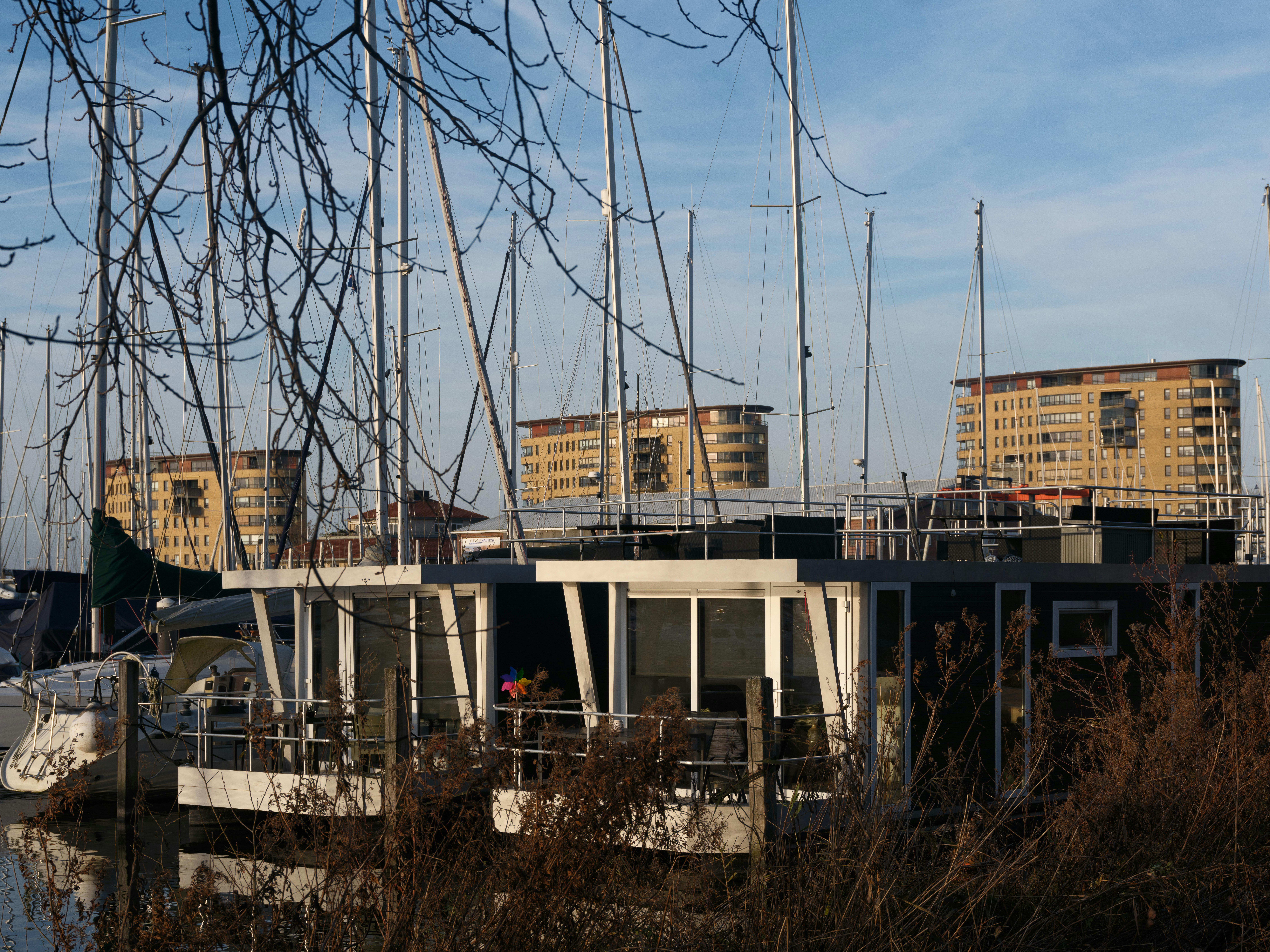 Houseboat moored at a marina with modern buildings in the background, framed by masts and foliage. 