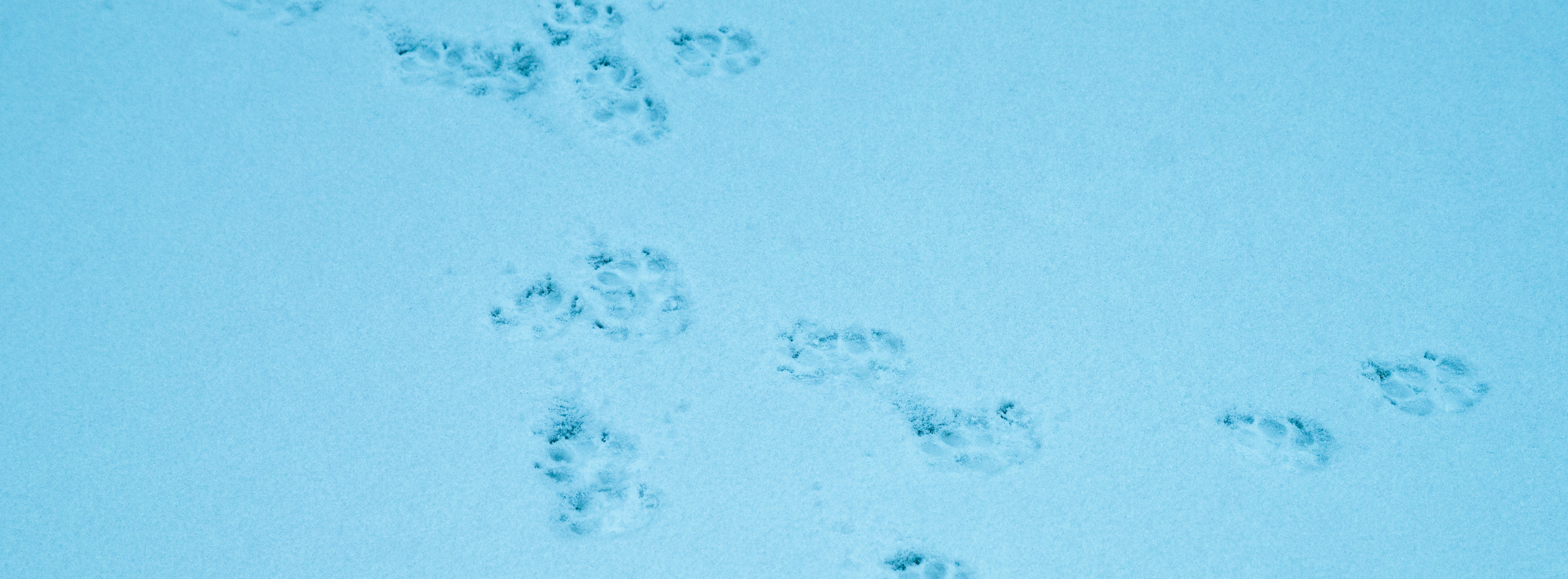 Mastering Rarefaction: A Step-by-Step Guide