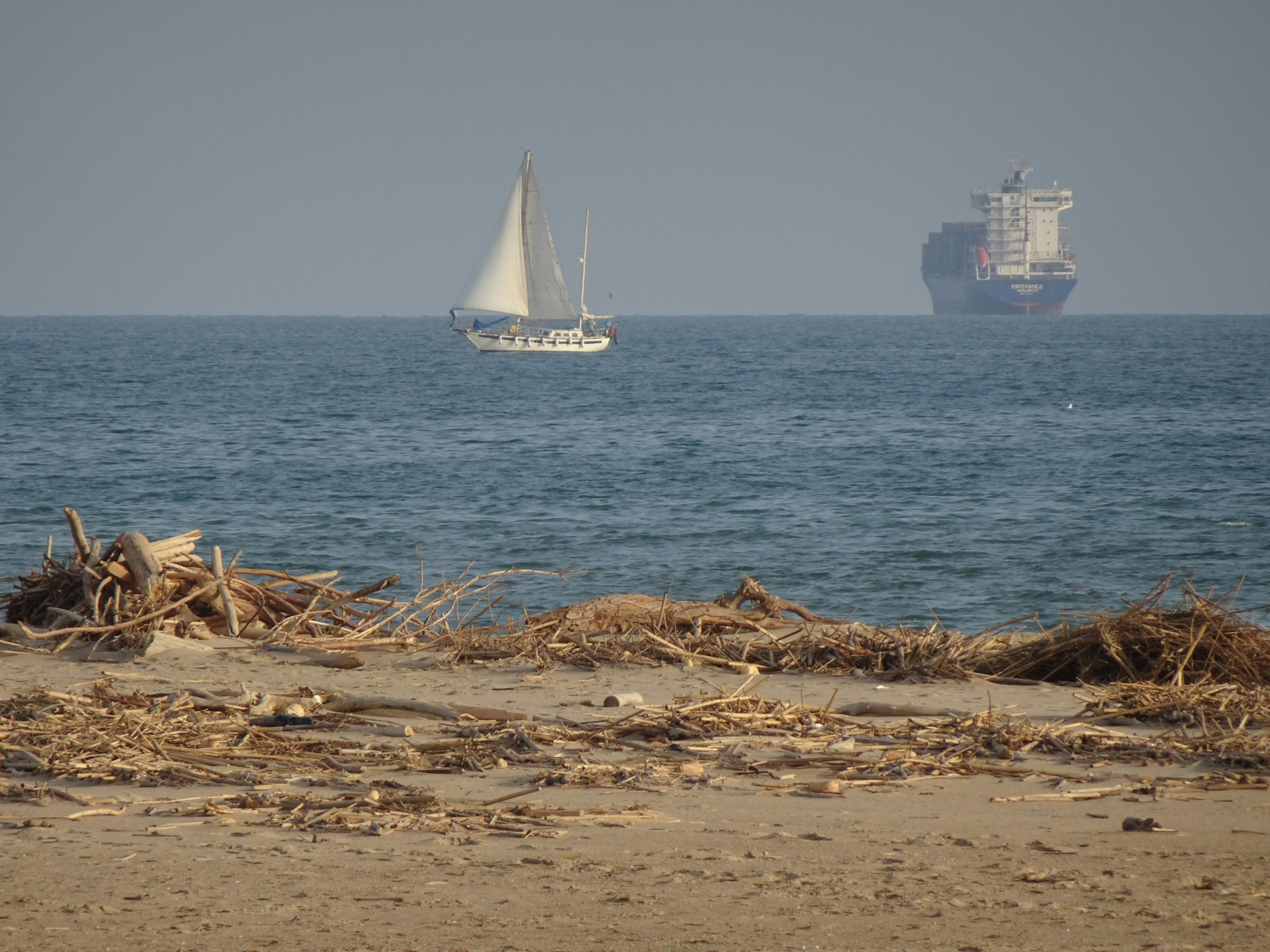 Sail and Shadow over Quiet Coastal Wake