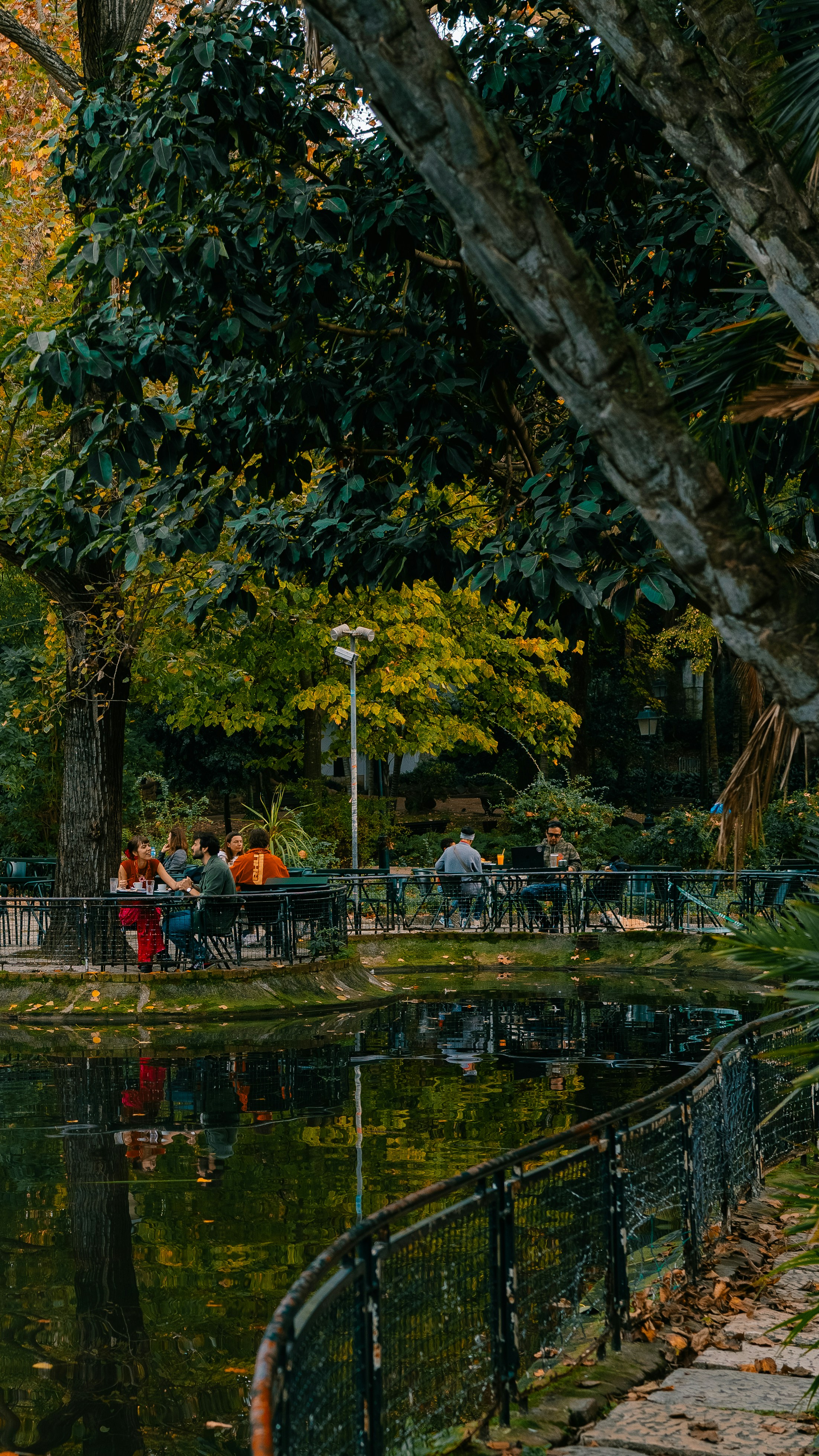 Autumn Banter by the Pond: A Park Café’s Quiet Glow
