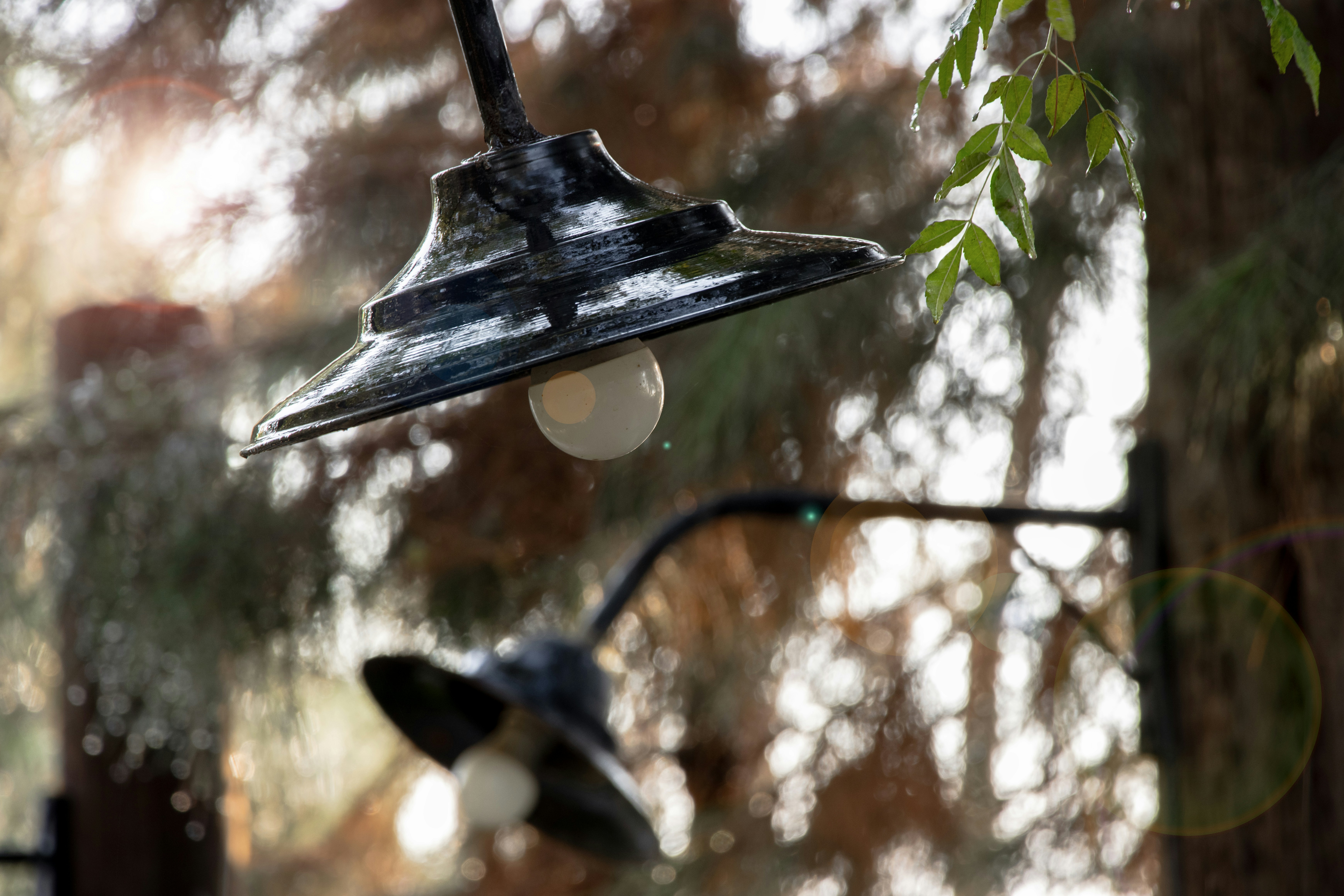 A couple of lights that are hanging from a tree photo – Free Tehran ...