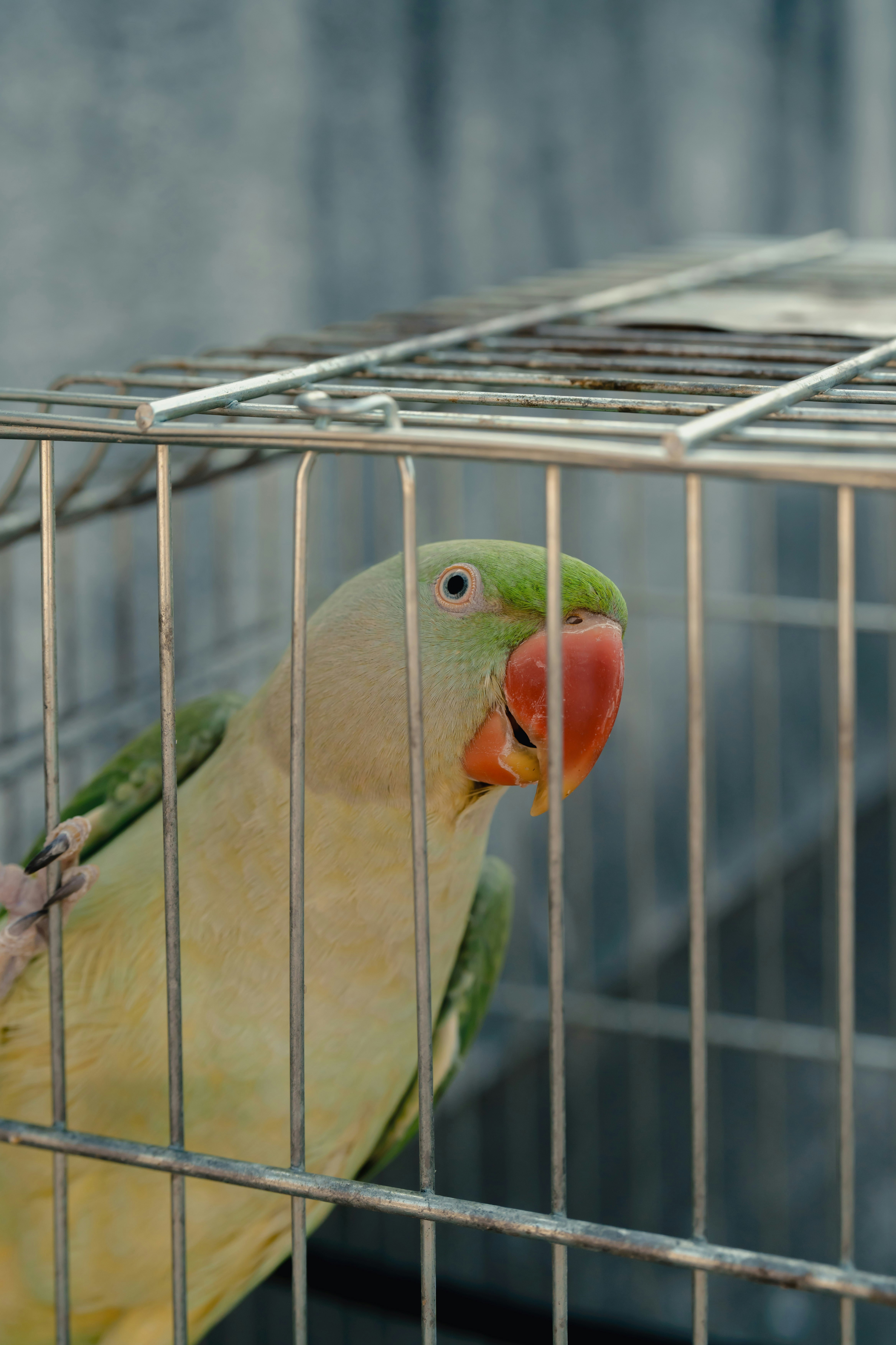 Photo by Harshal with Sony Alpha 7 IV