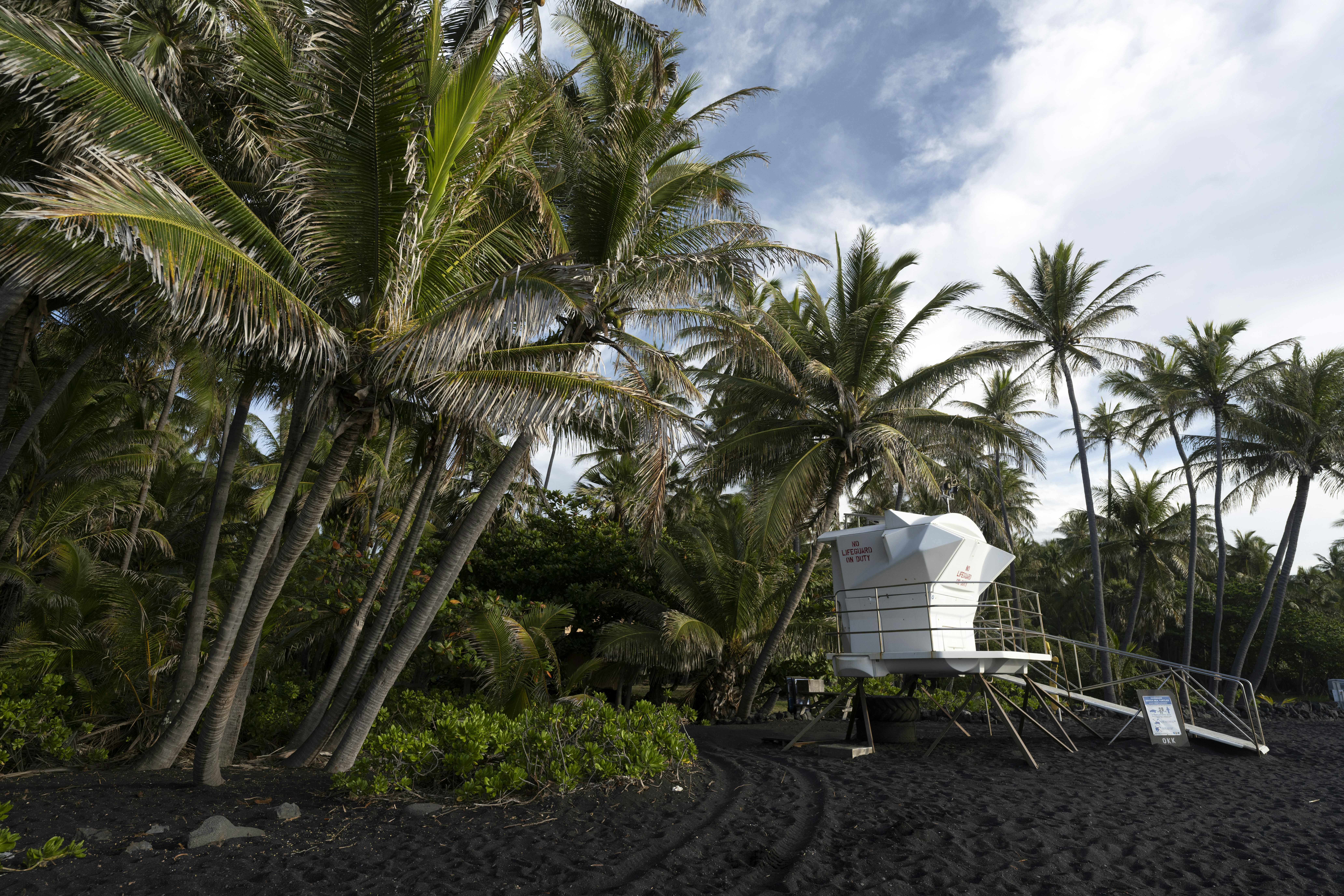 Lifeguard Tower Amid Palm Arches on a Black-Sand Beach