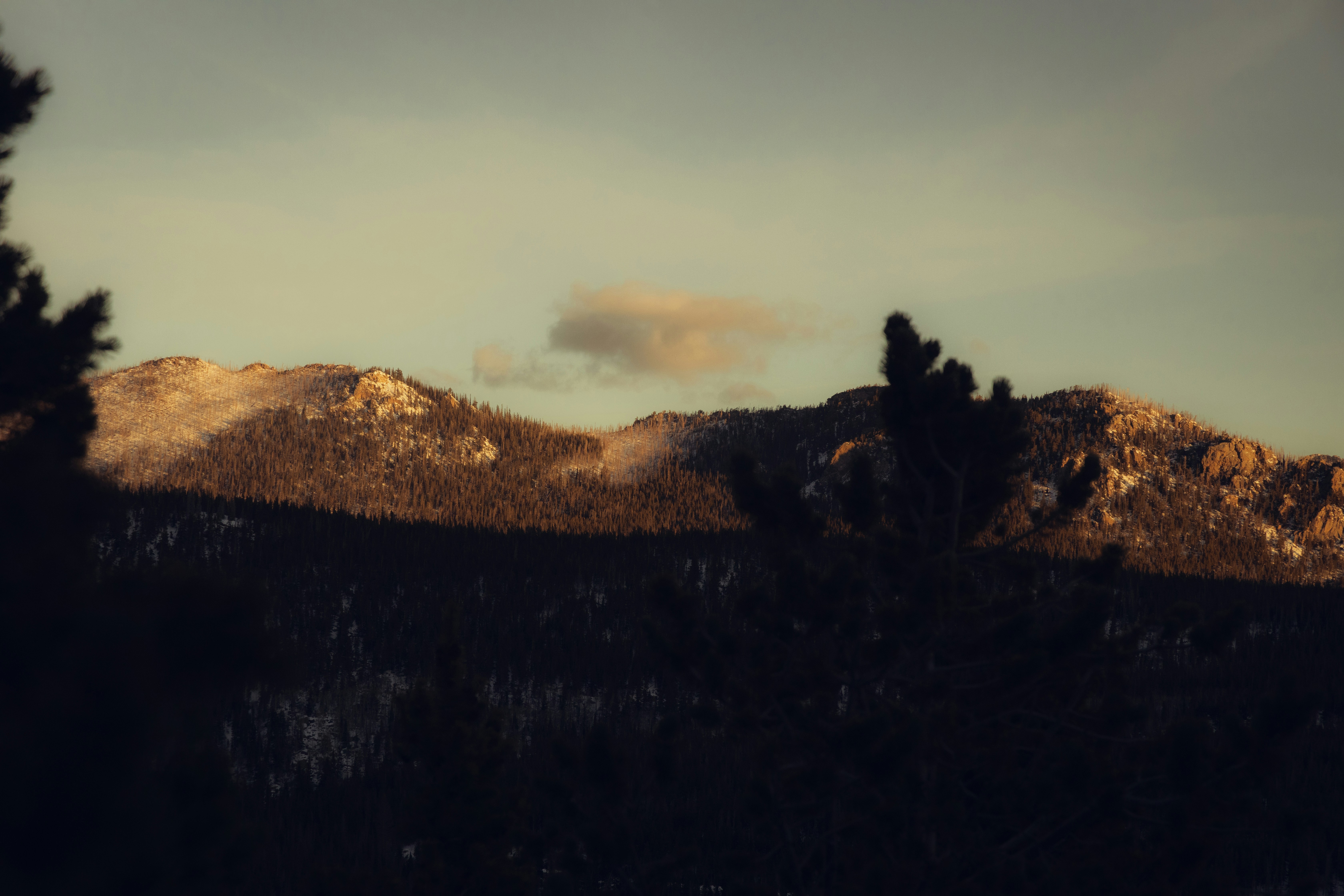 Photo by Luke Peterson with Canon EOS R