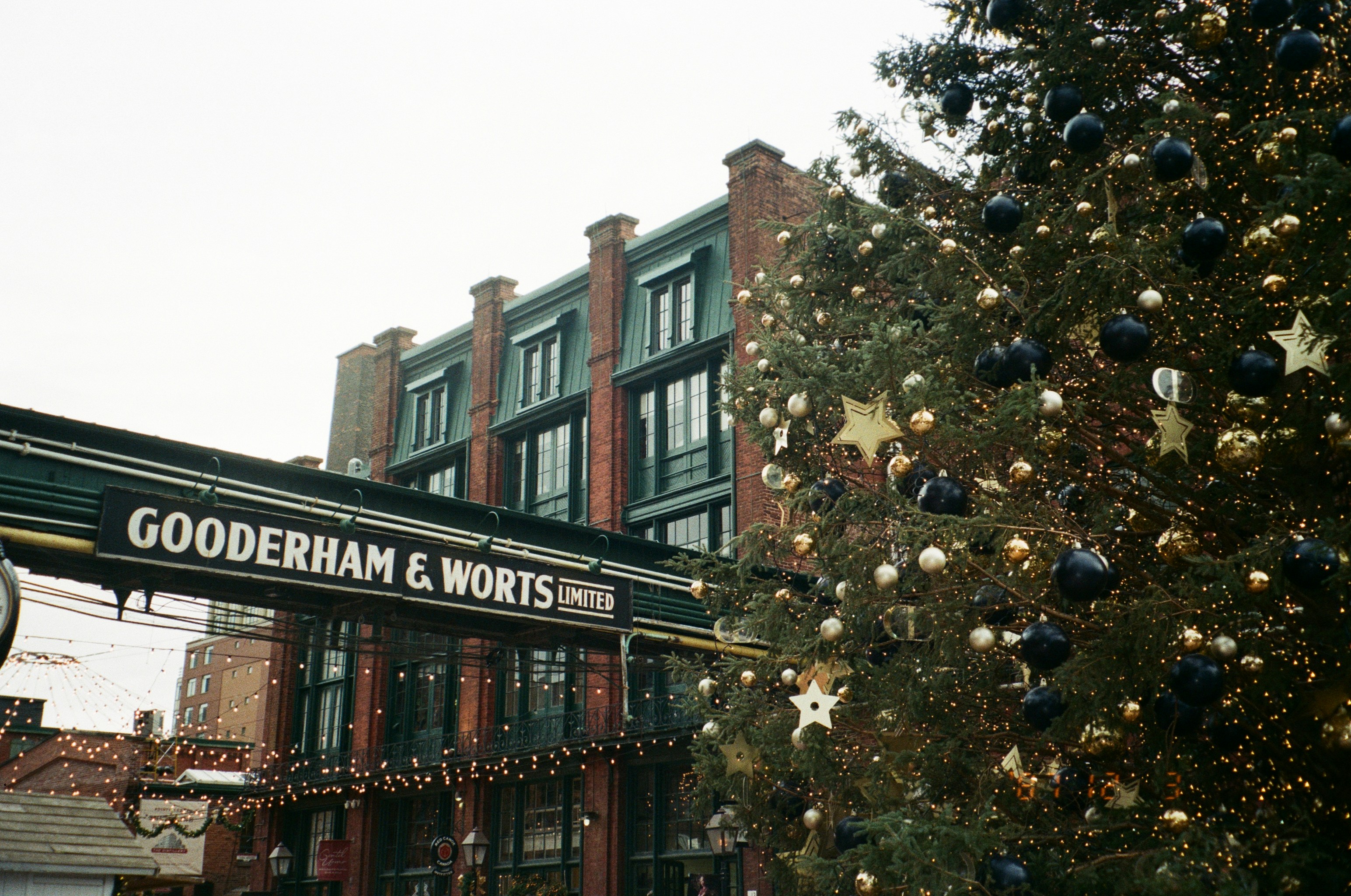 A large christmas tree in front of a building photo – Free Toronto ...