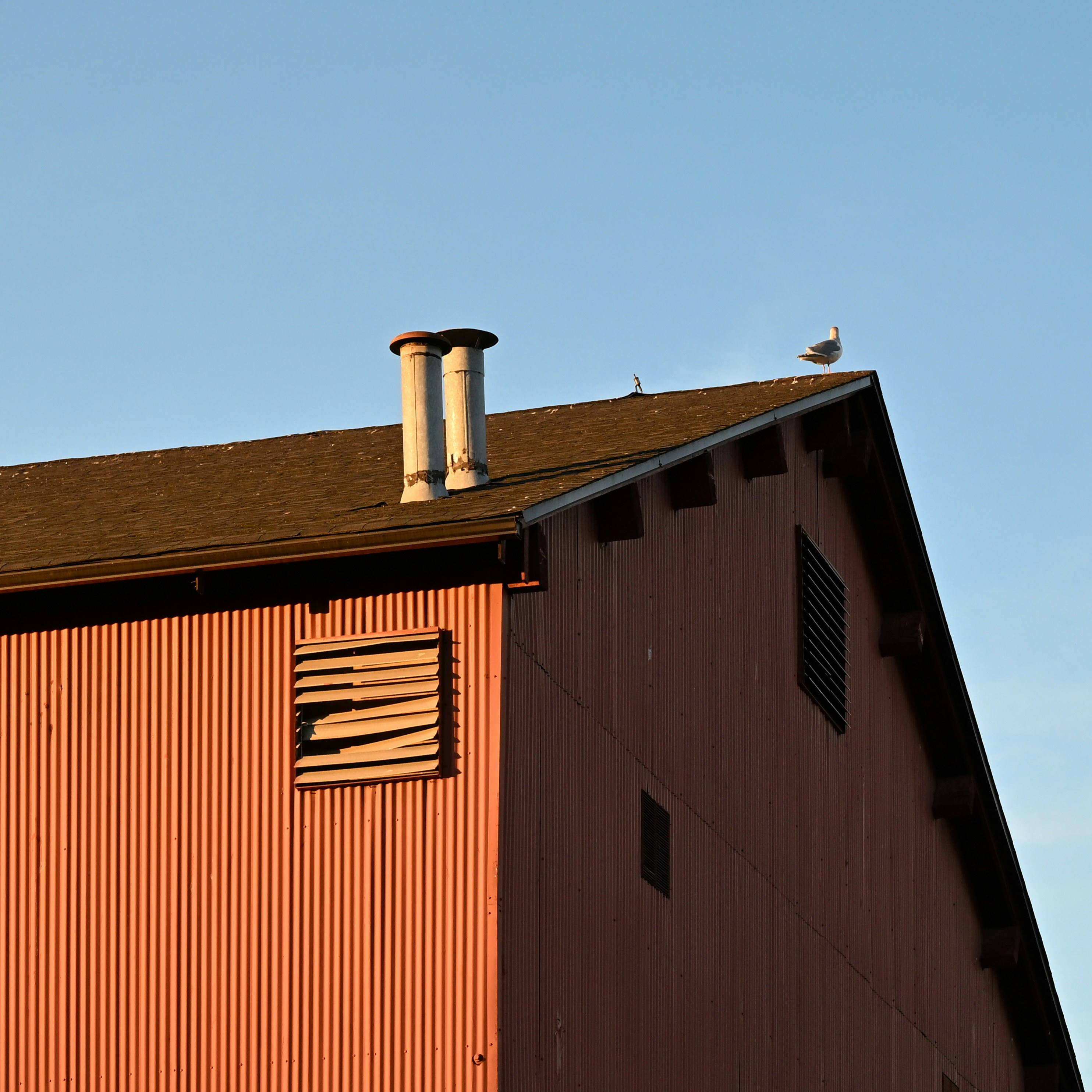 Photo by Jonathan Lim with Nikon Zf