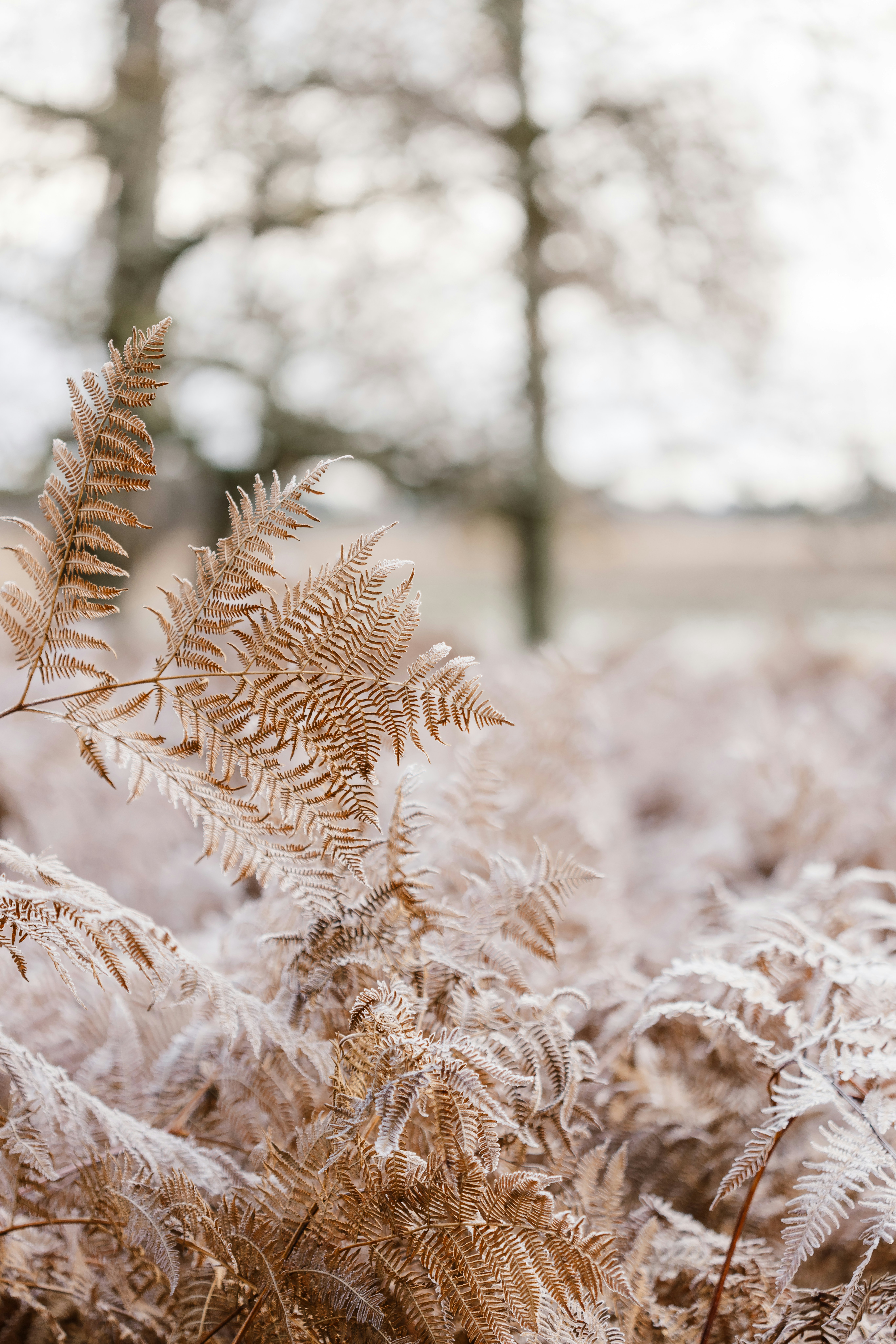 Download Free Pictures & Images [HD] | Unsplash