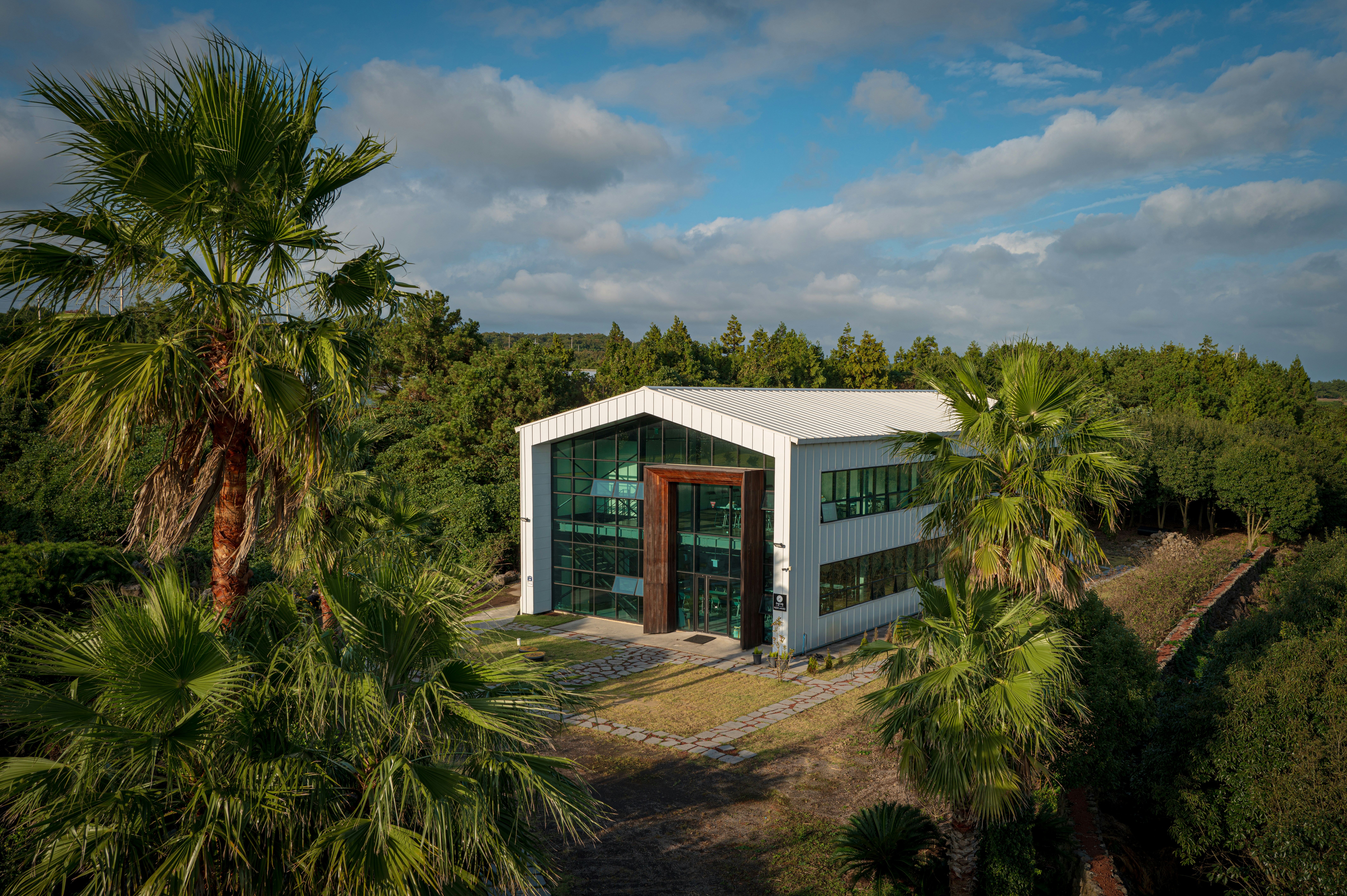 Glass-Fronted Pavilion Rising Through a Palm Canopy