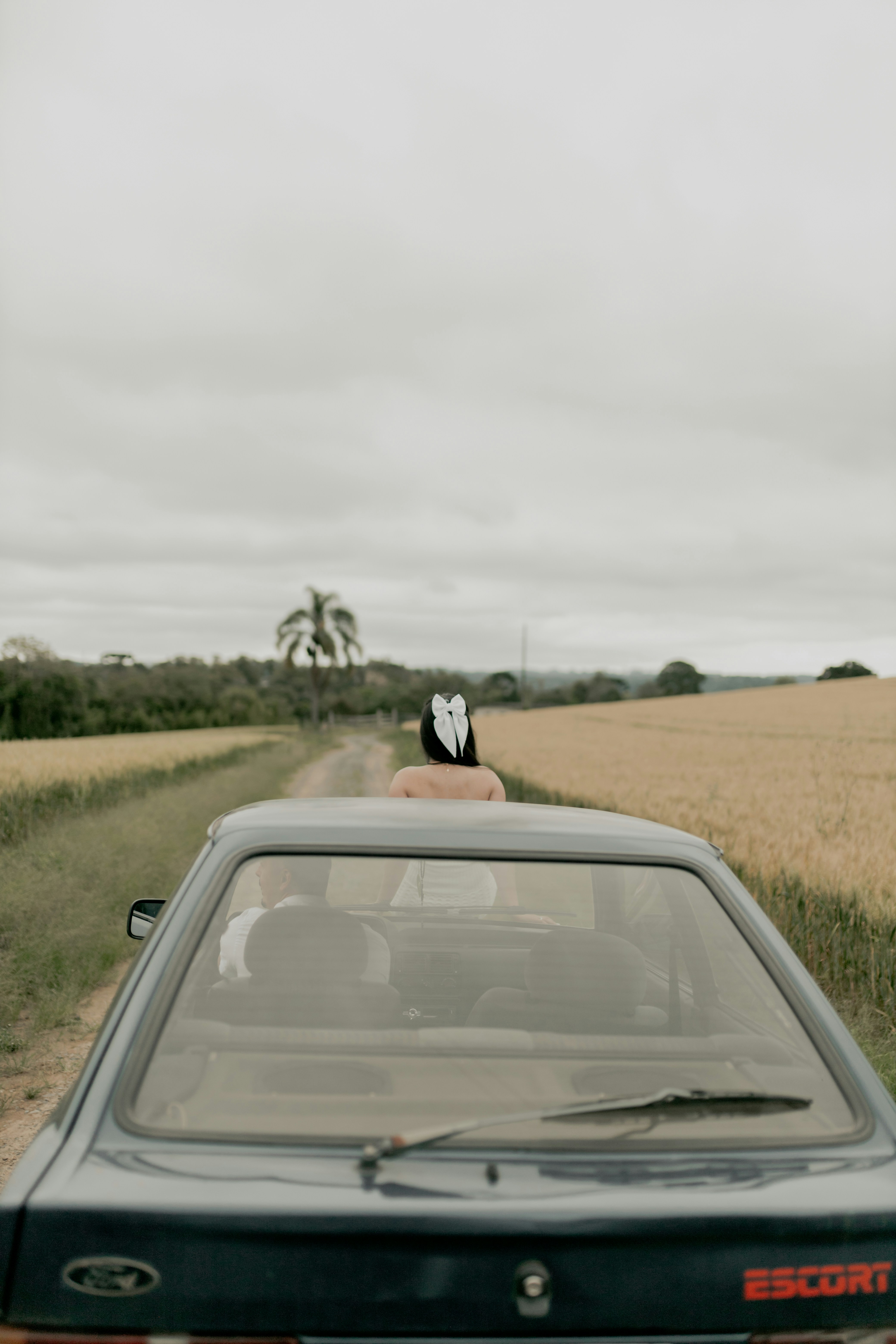 Road Trip Reverie: A Figure Emerges from the Truck’s Wake
