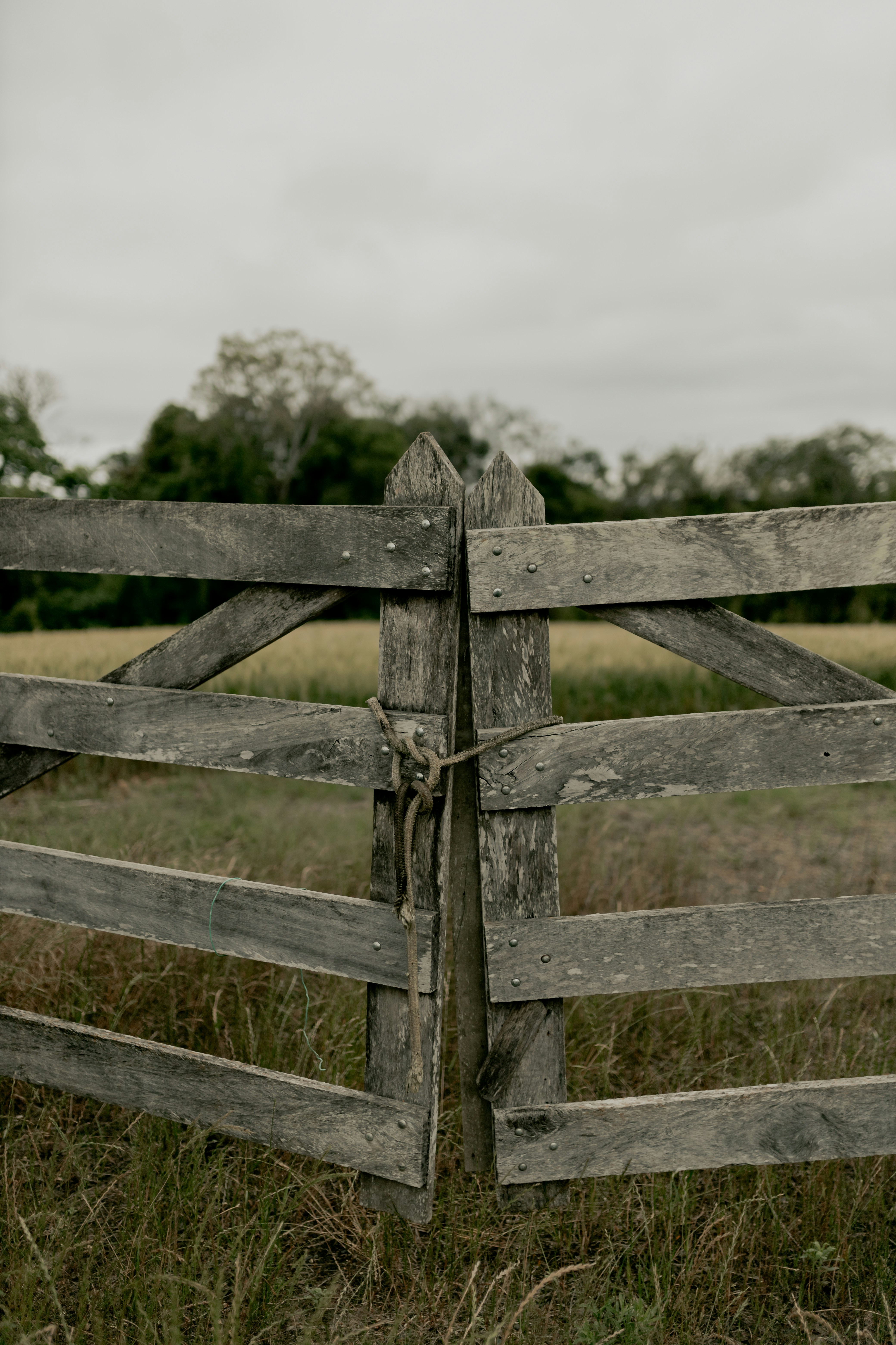A wooden fence in a grassy field with trees in the background photo ...