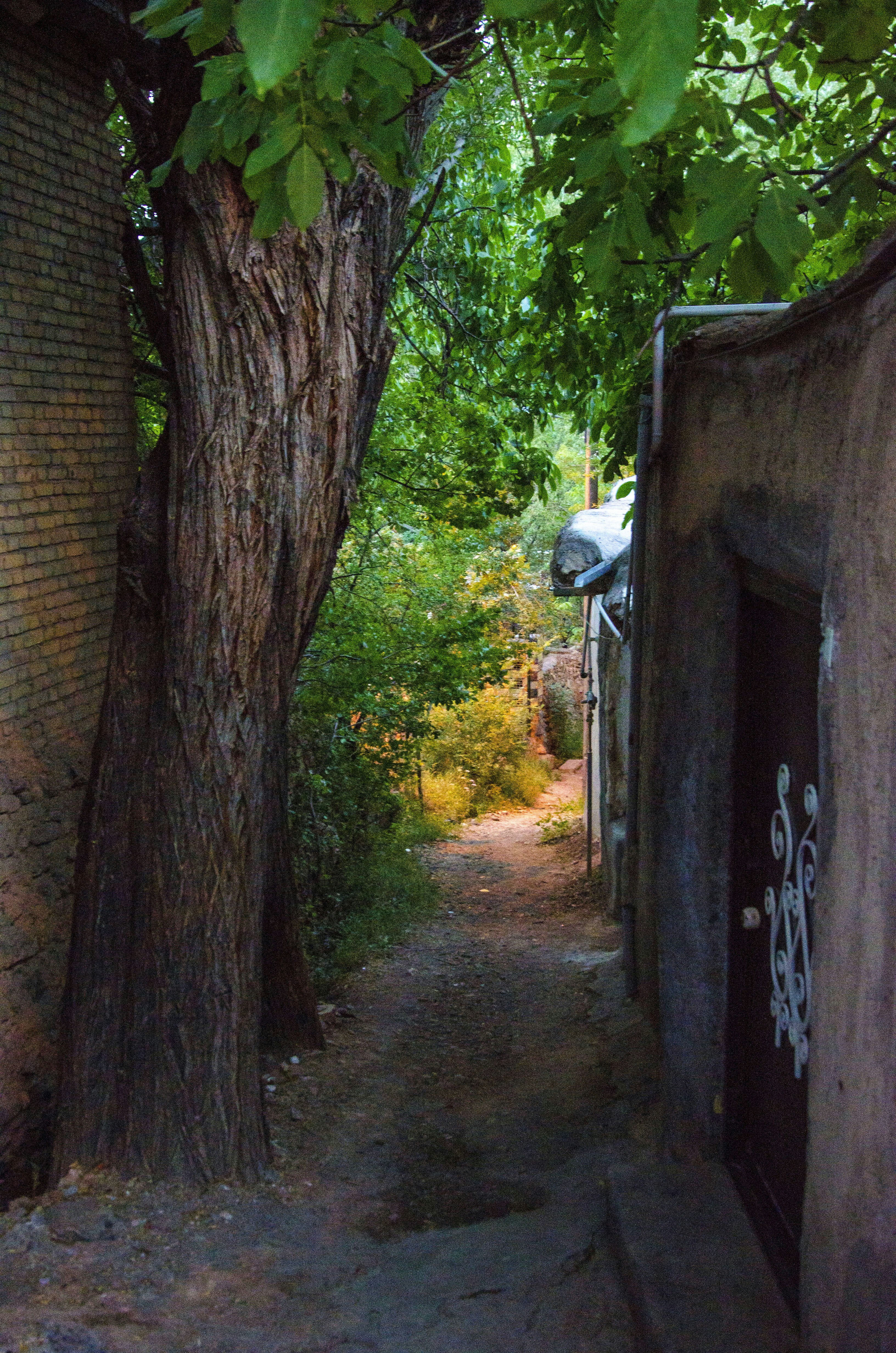 Photo by sheida sardashti with Nikon D7000