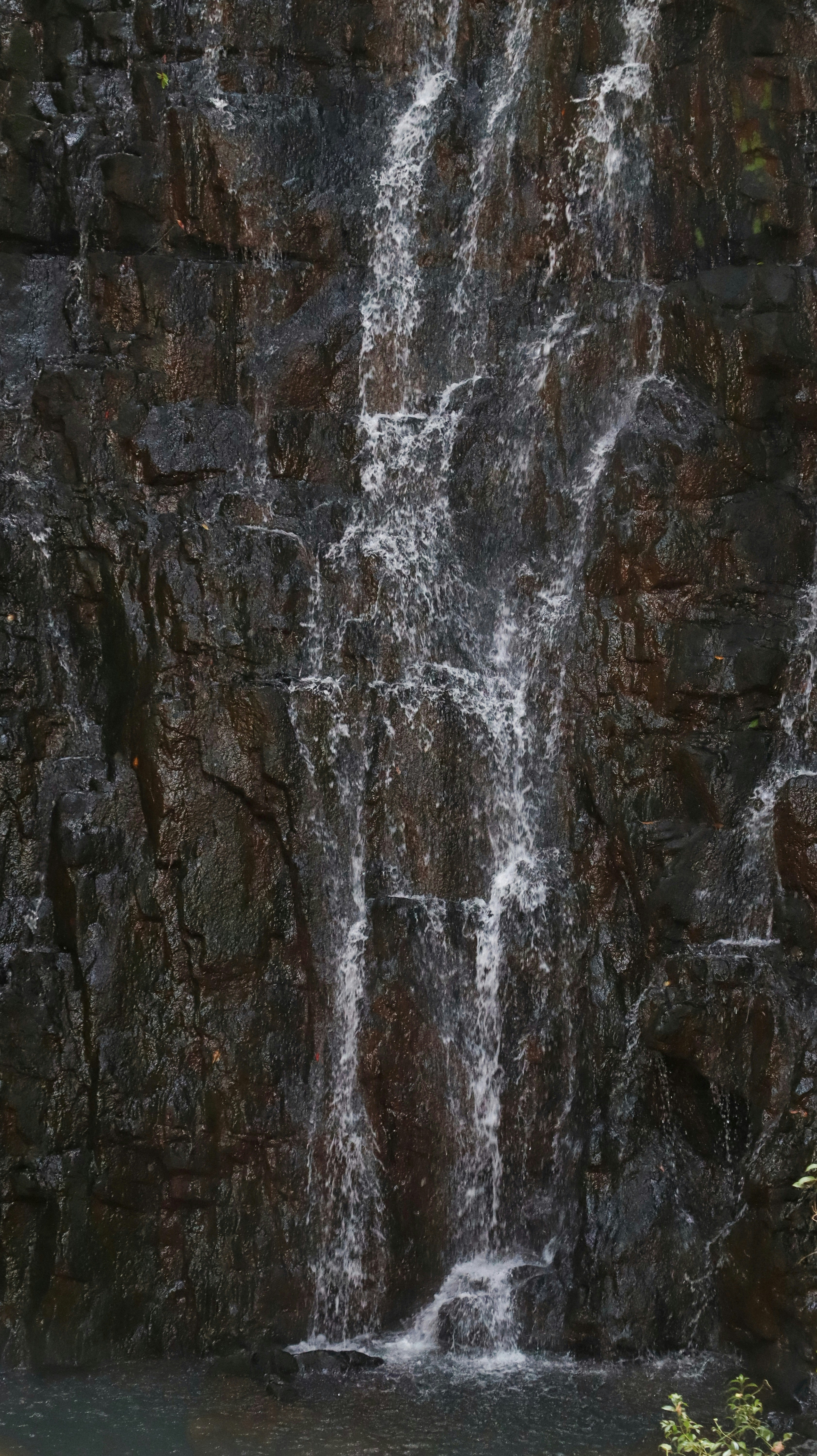 Photo by Aditya Sethia with Canon EOS M50 Mark II