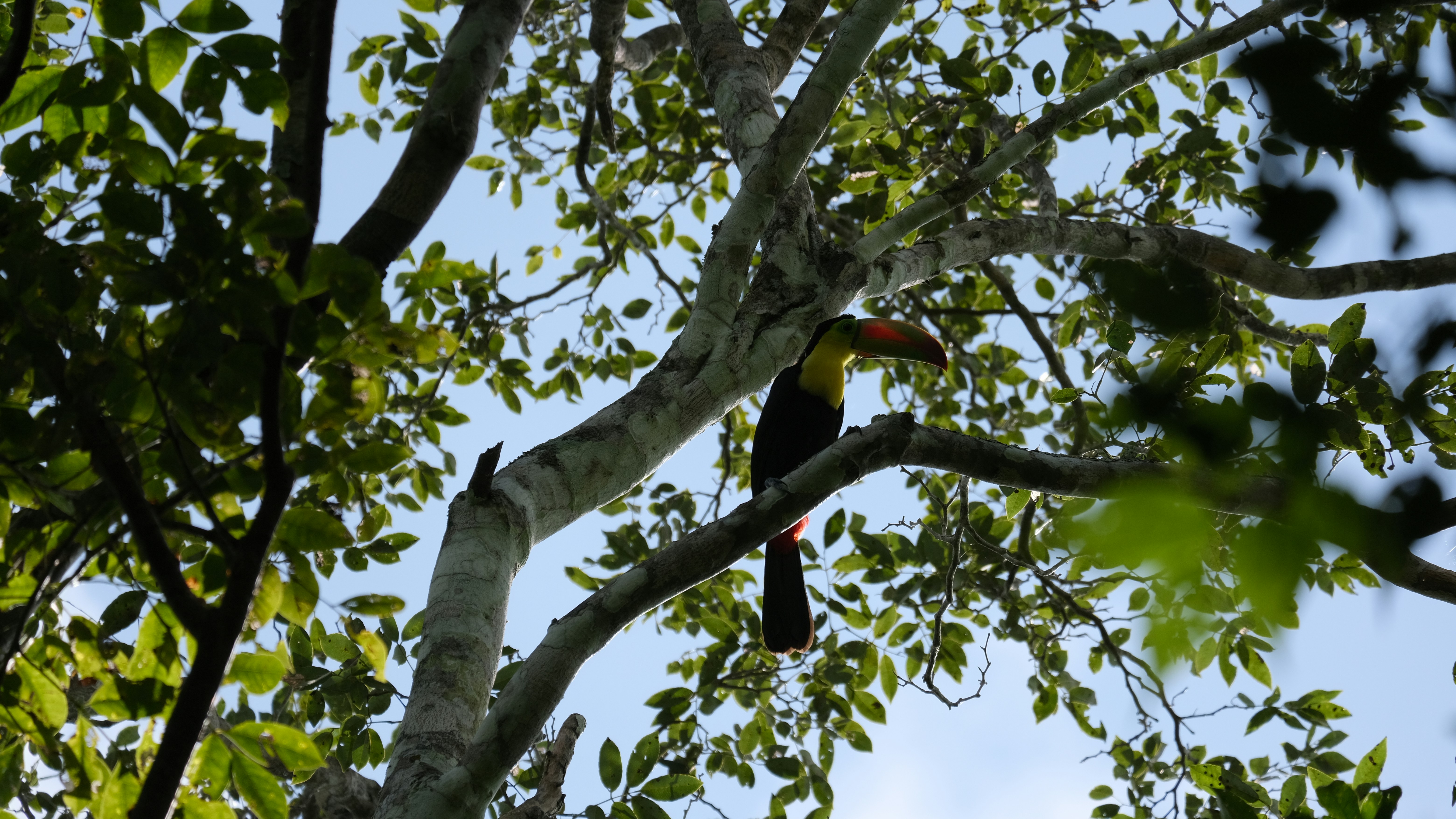 Photo by Thomas Gabernig with Fujifilm X-T30 II