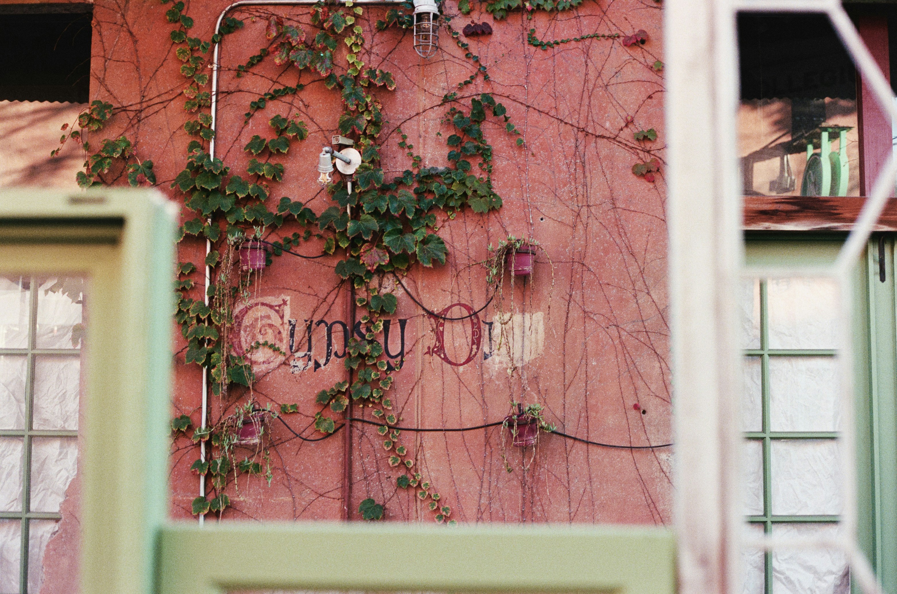 Sample photo from Noritsu S2 Film Scanner