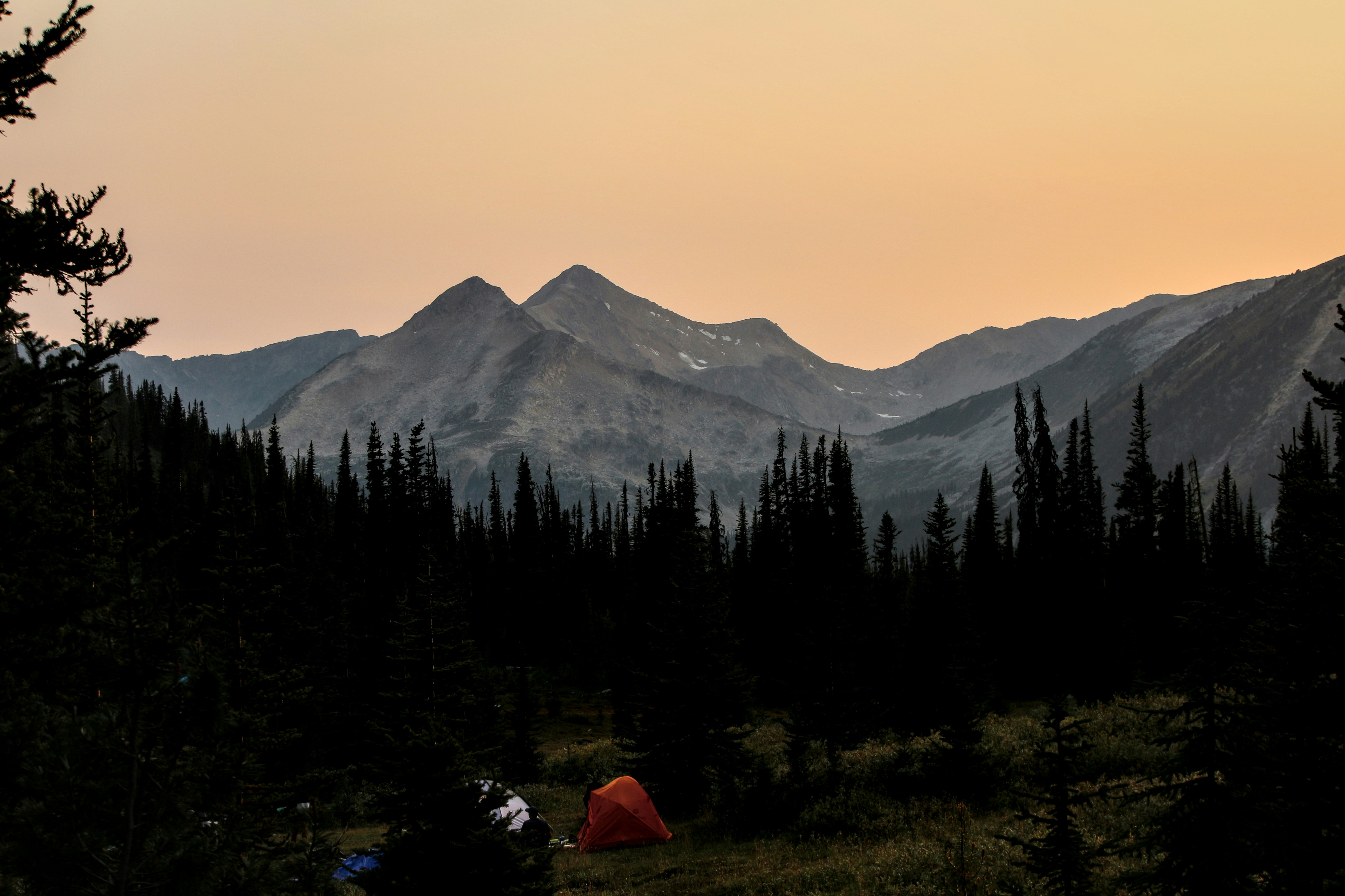 A couple of people sitting on top of a lush green field