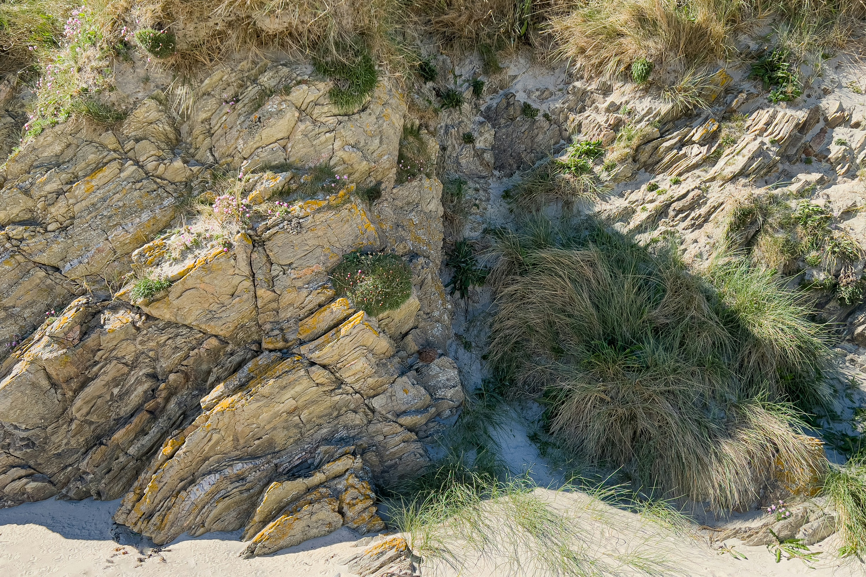 A rocky cliff with grass growing on top of it photo – Free Nature Image ...
