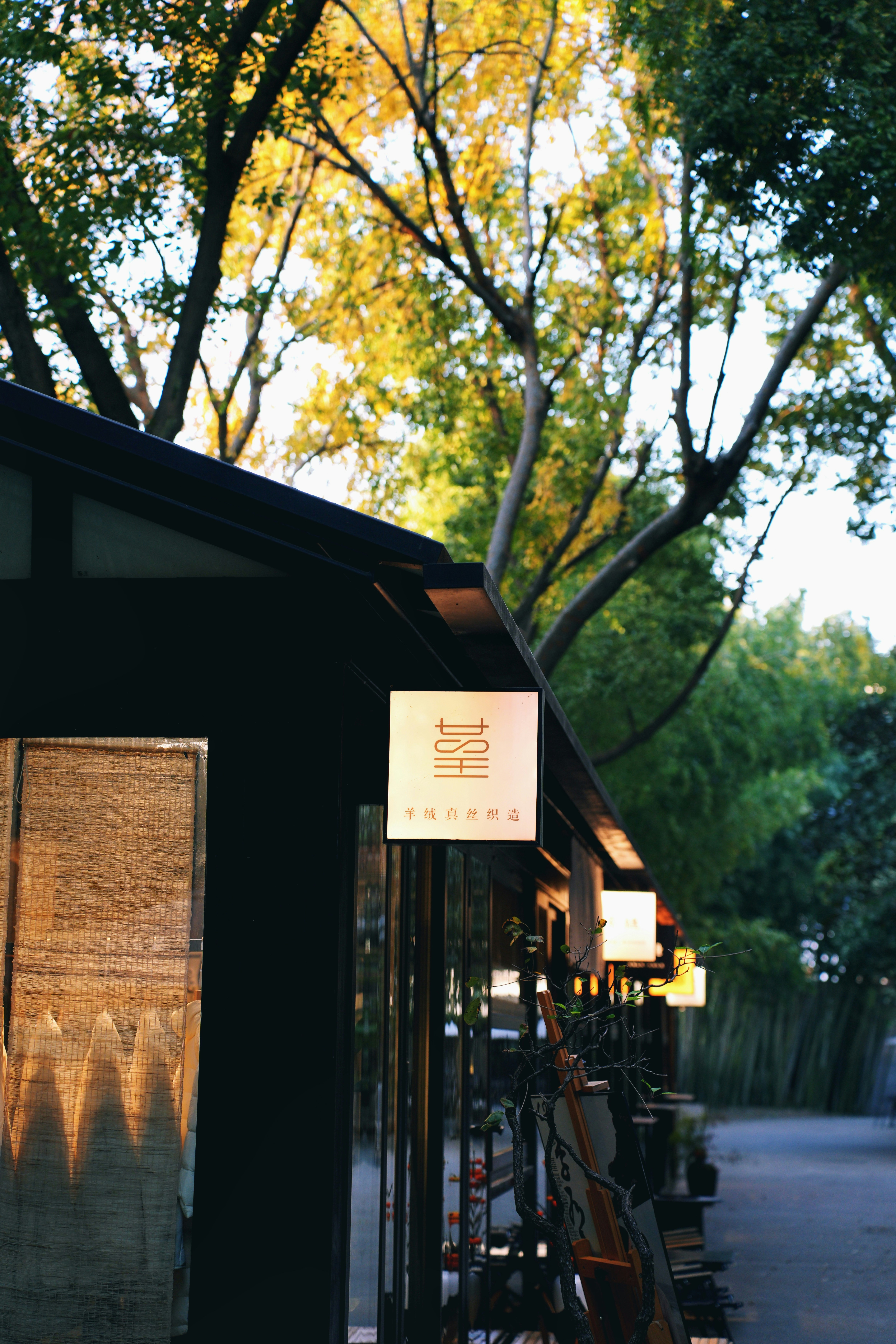 Photo by Vida Huang with Sony Alpha 7 IV