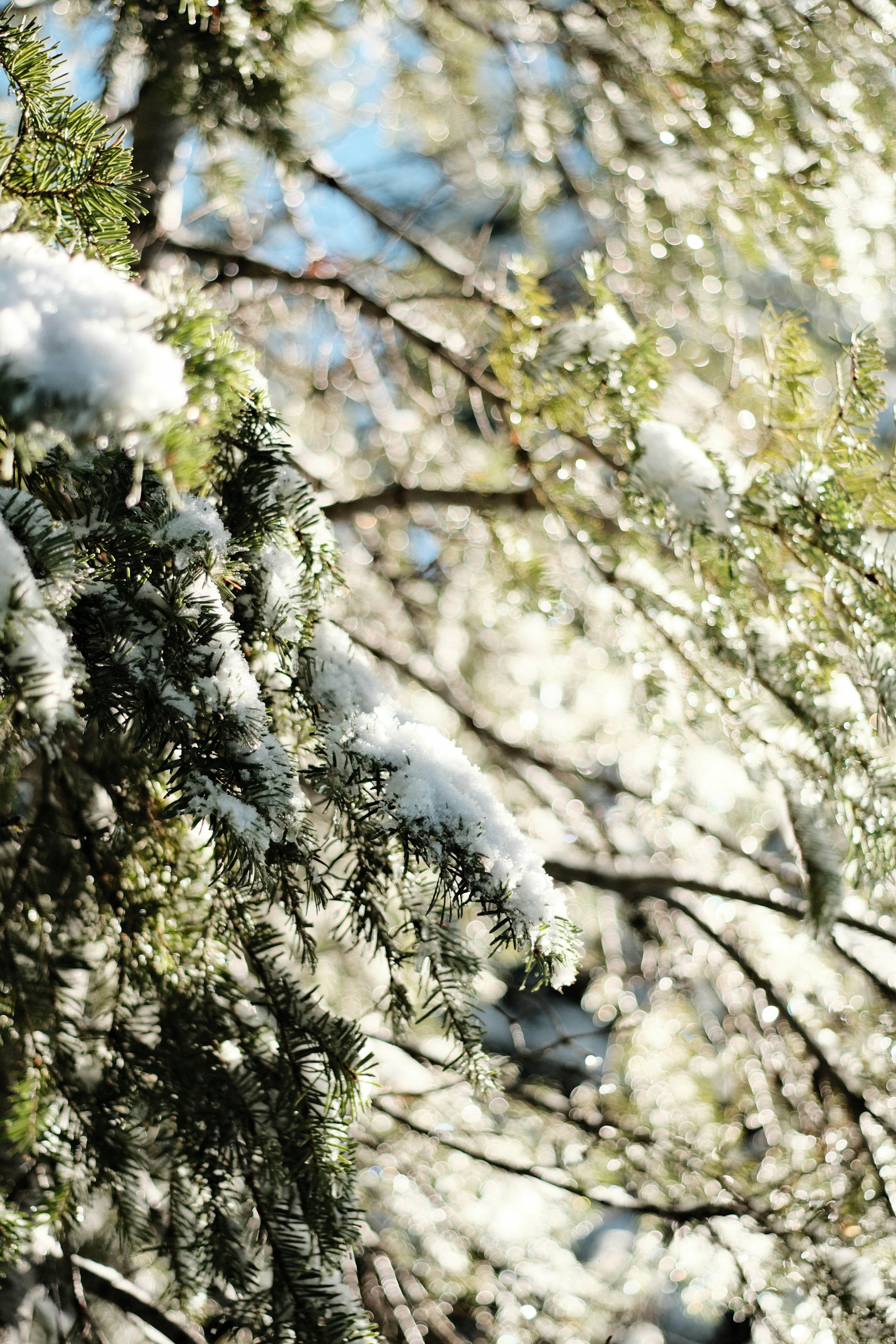 Photo by Jacob Padilla with Fujifilm X-T5