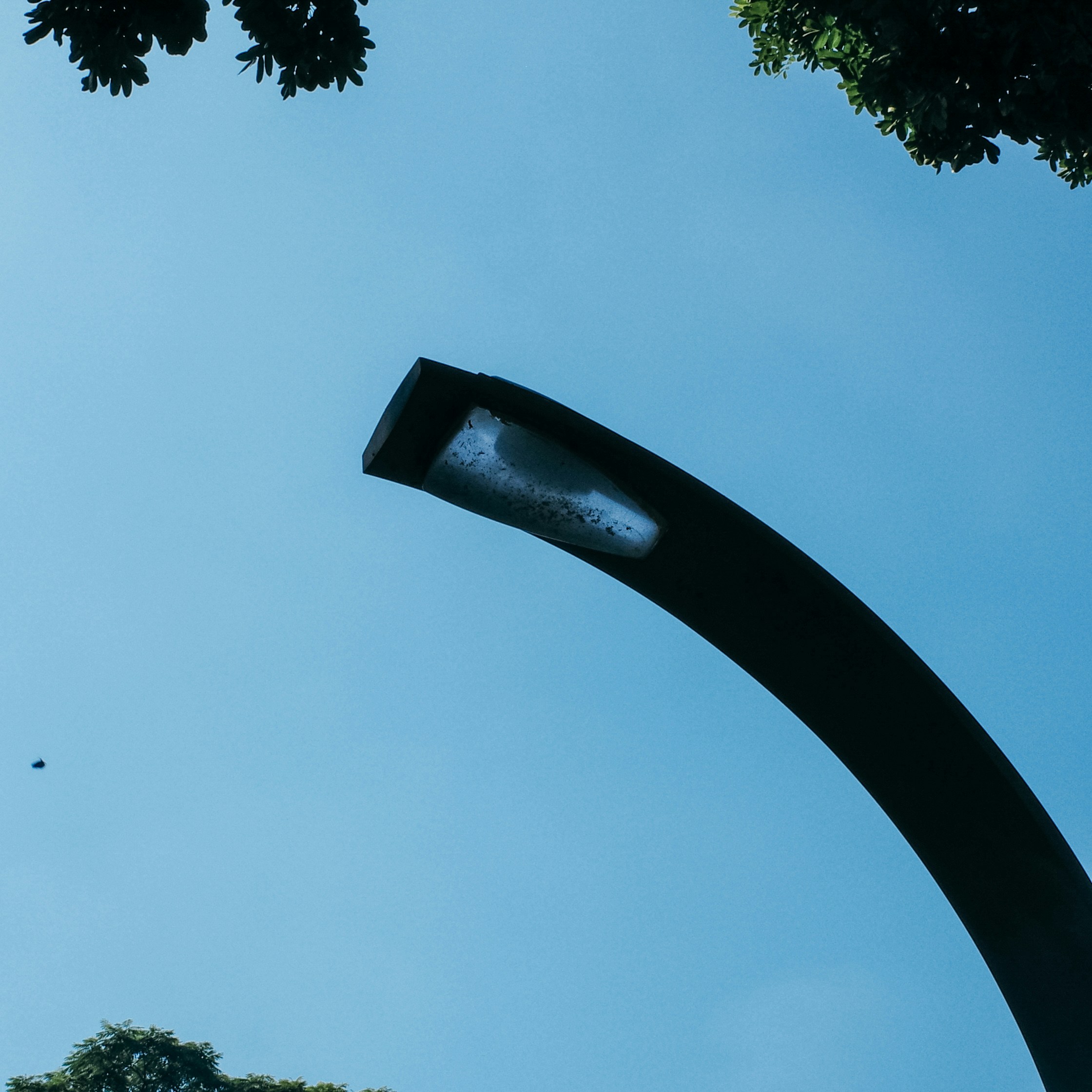 A street light with trees in the background
