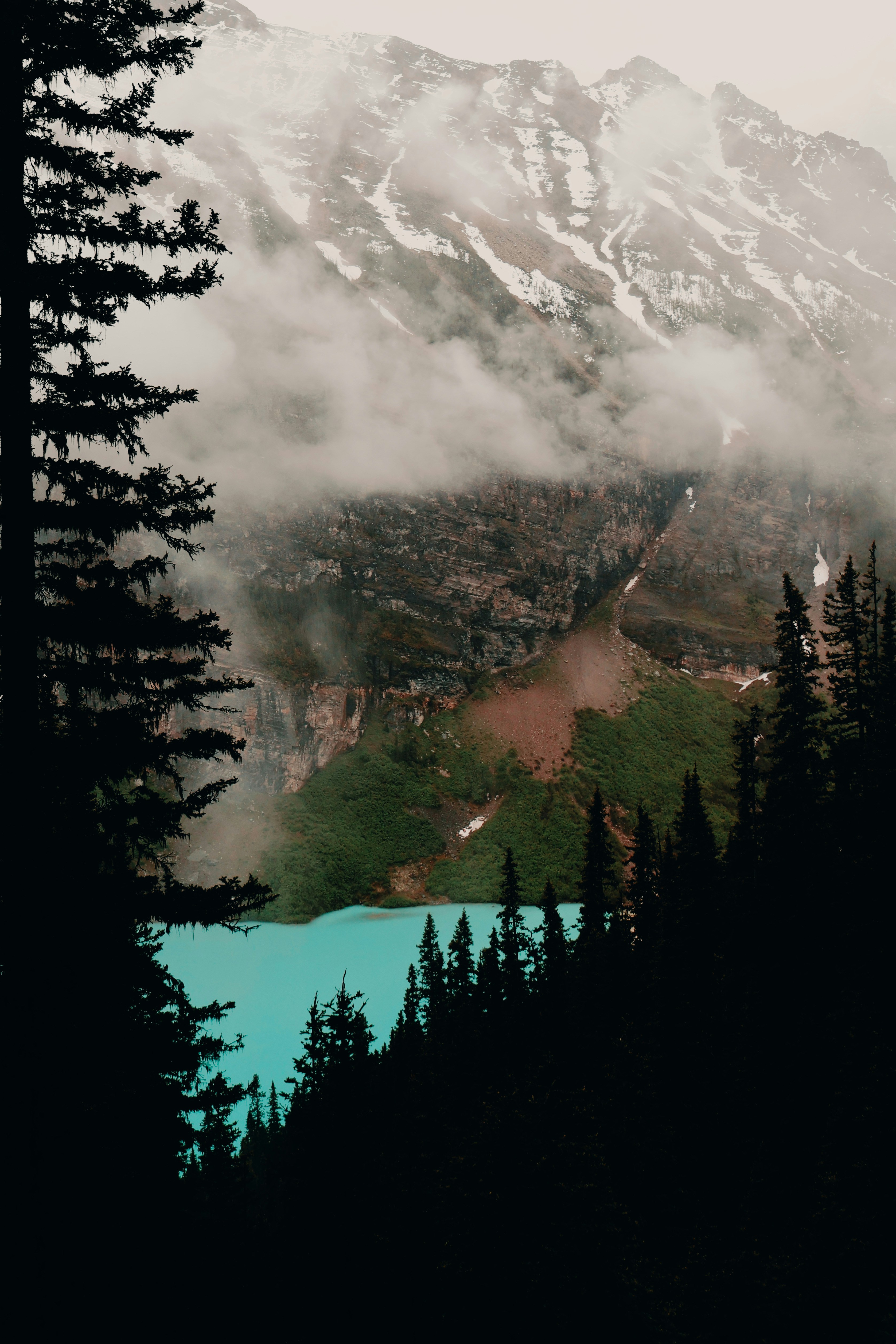Hiking up the Big Beehive Trail, we caught a breathtaking sneak peek of Lake Louise’s crazy blue hue. I tried a different approach with this shot, framing the lake through the trees from a cloud-level vantage point—it felt like peeking into another world!Daniel Gomez
