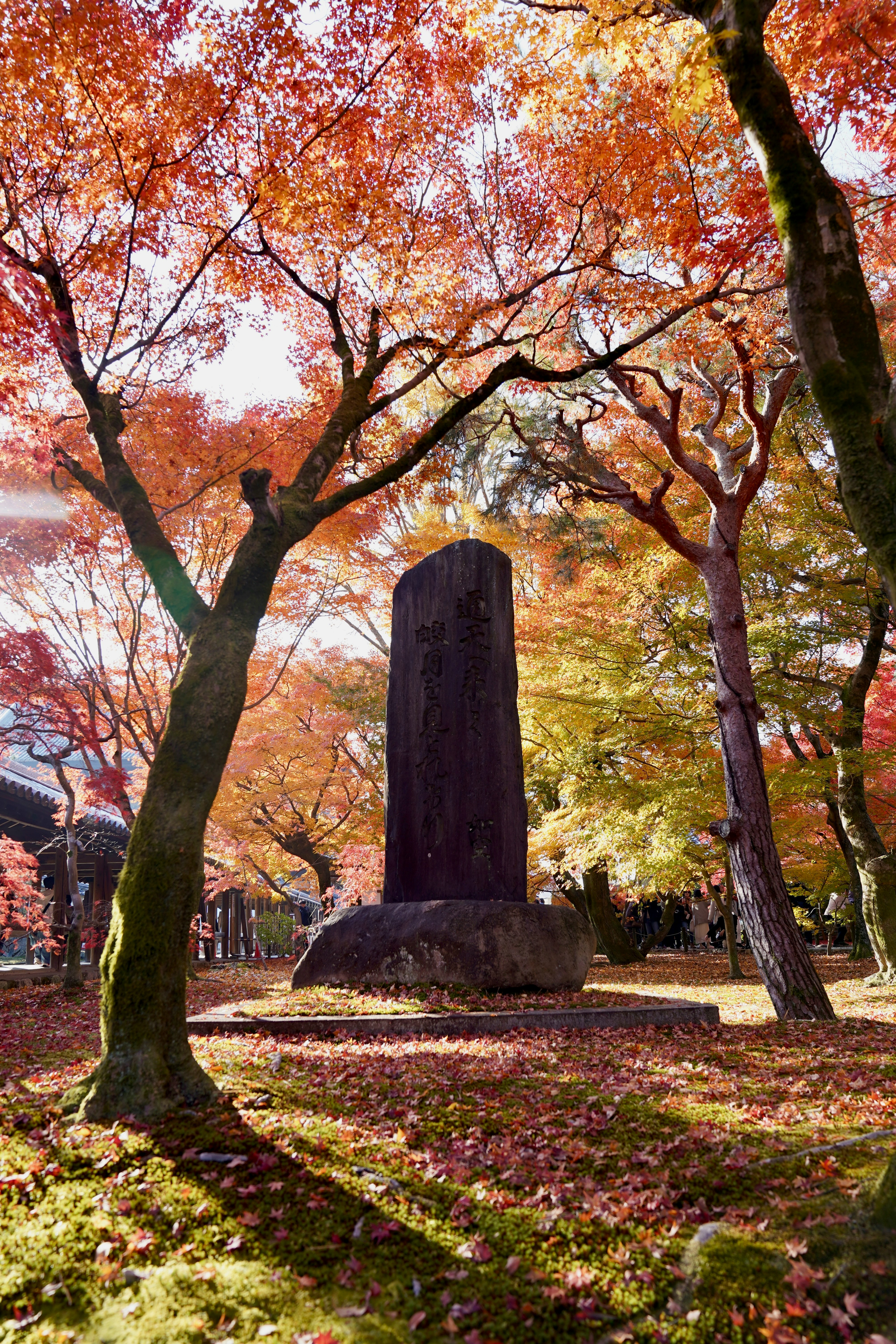 Autumn Reverie: Monument Amid the Echoes of Fallen Leaves