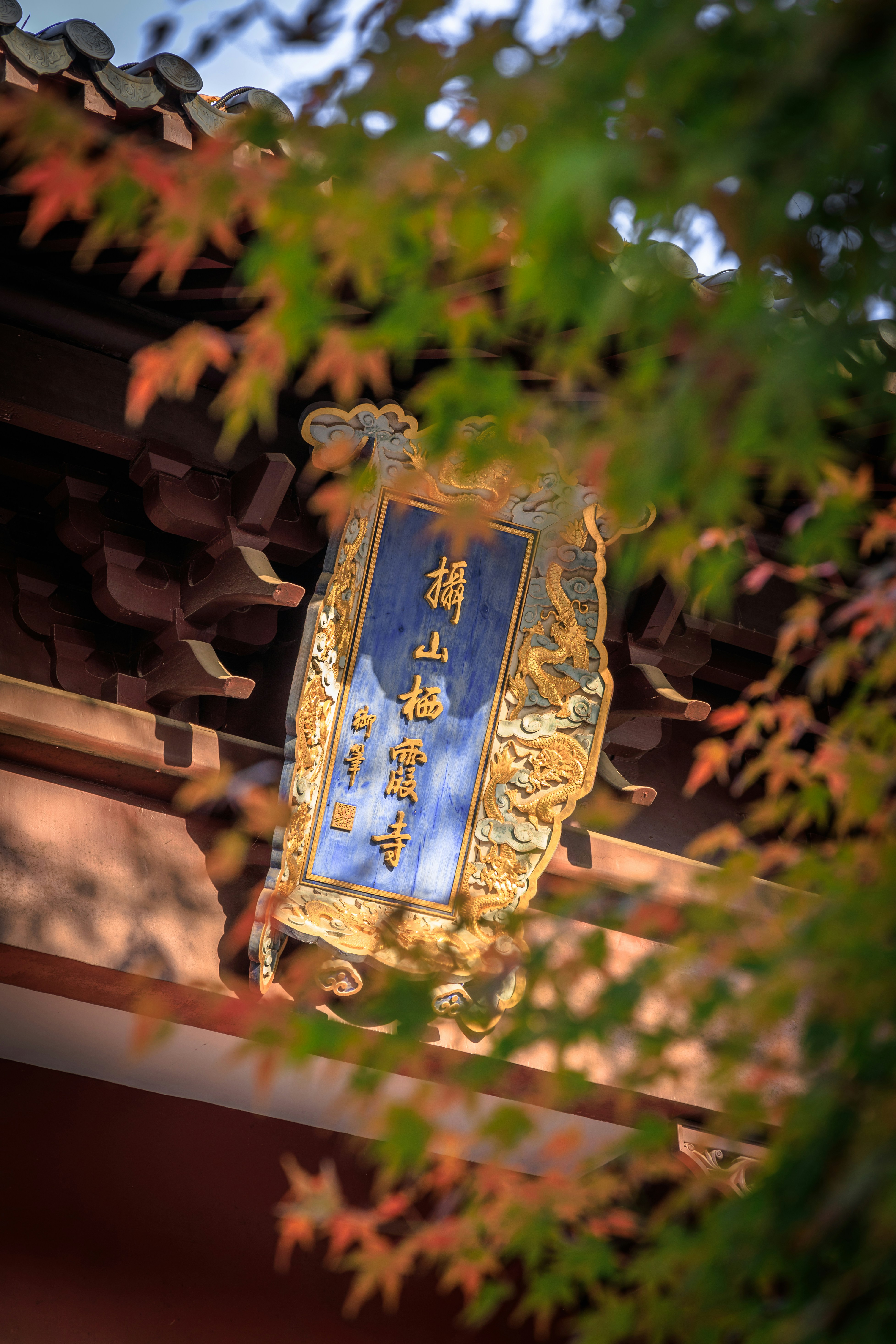 A blue and gold sign hanging from the side of a building photo – Free ...