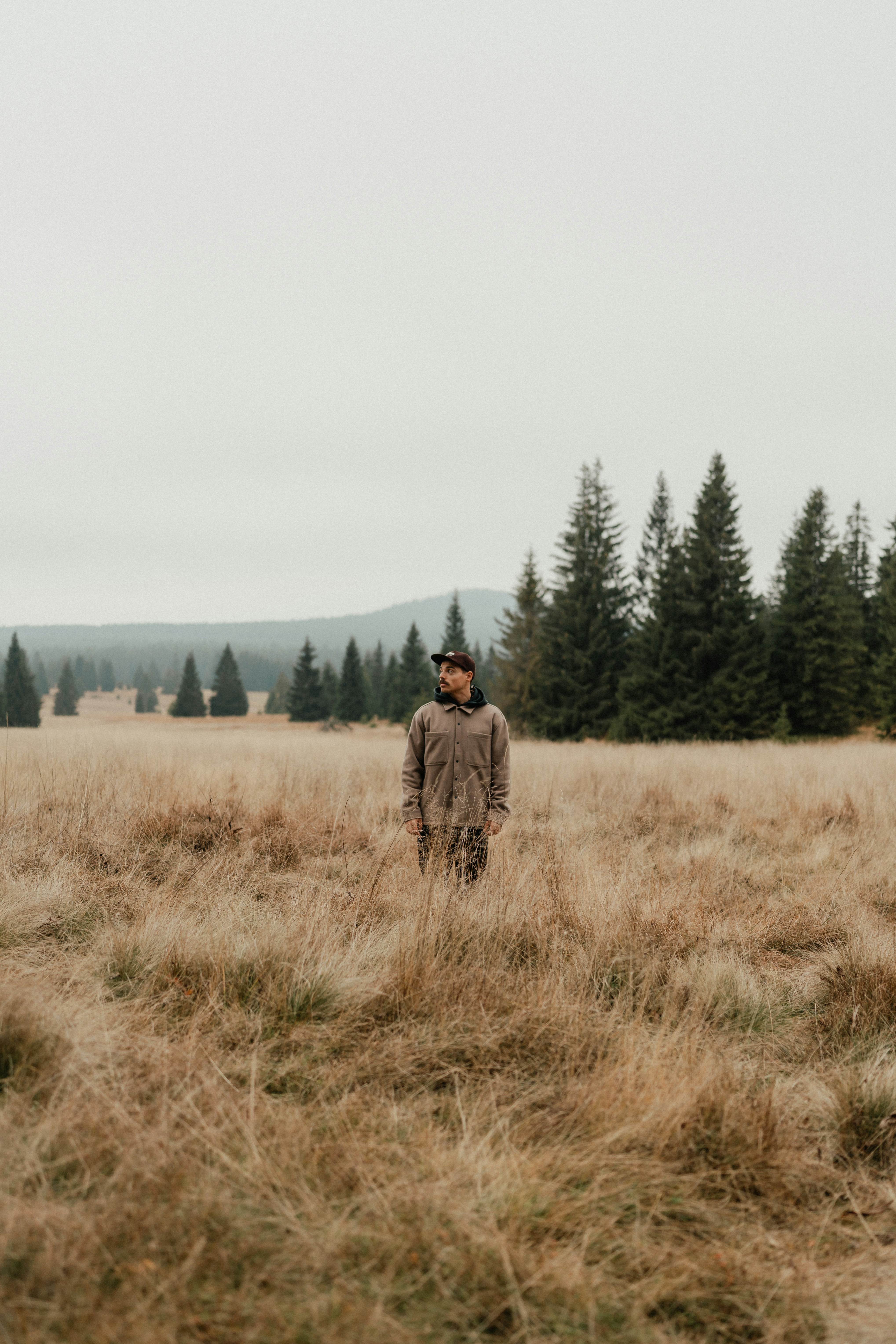 A person standing in a field with trees in the background photo – Free ...