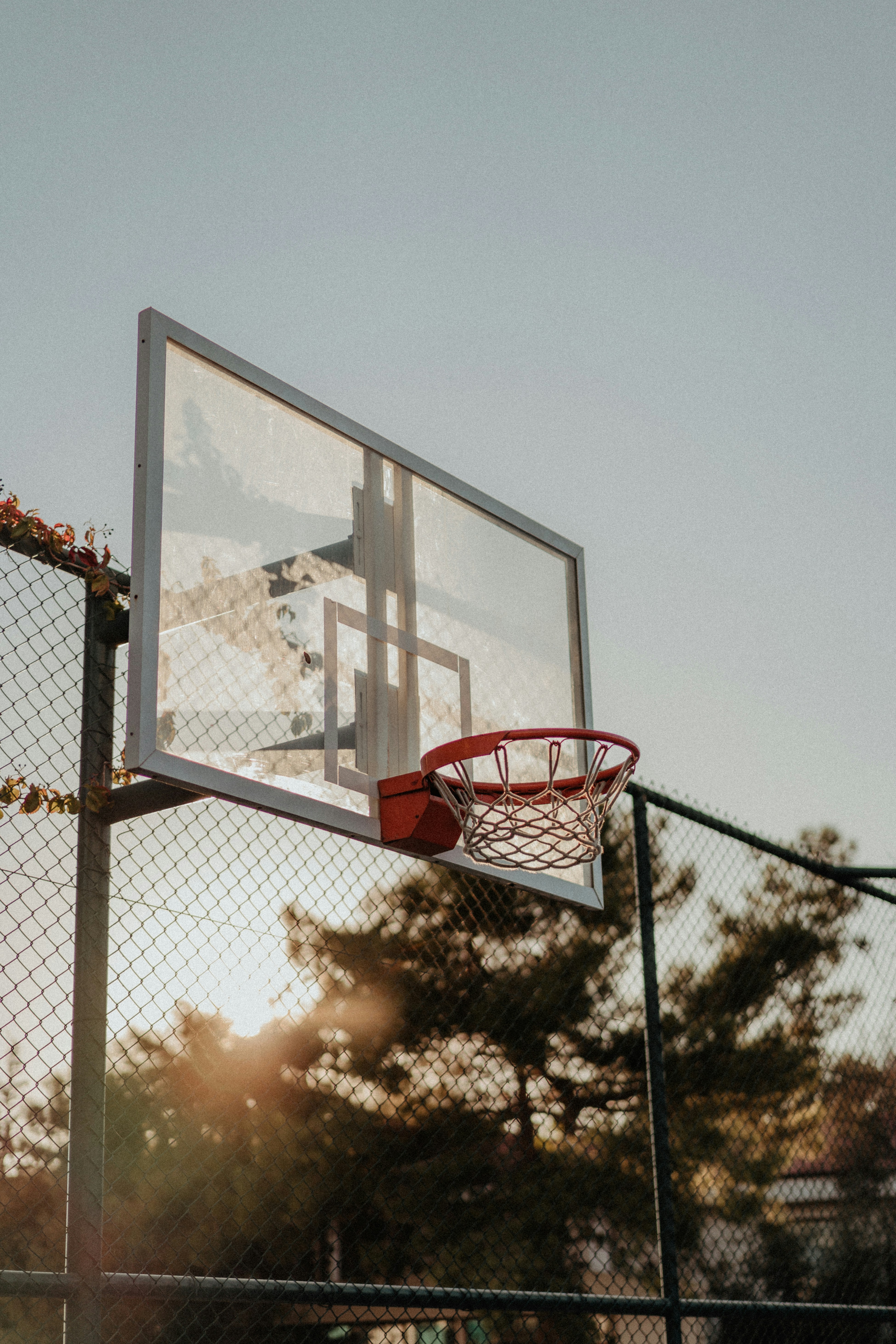 A basketball hoop in front of a chain link fence photo – Free ...