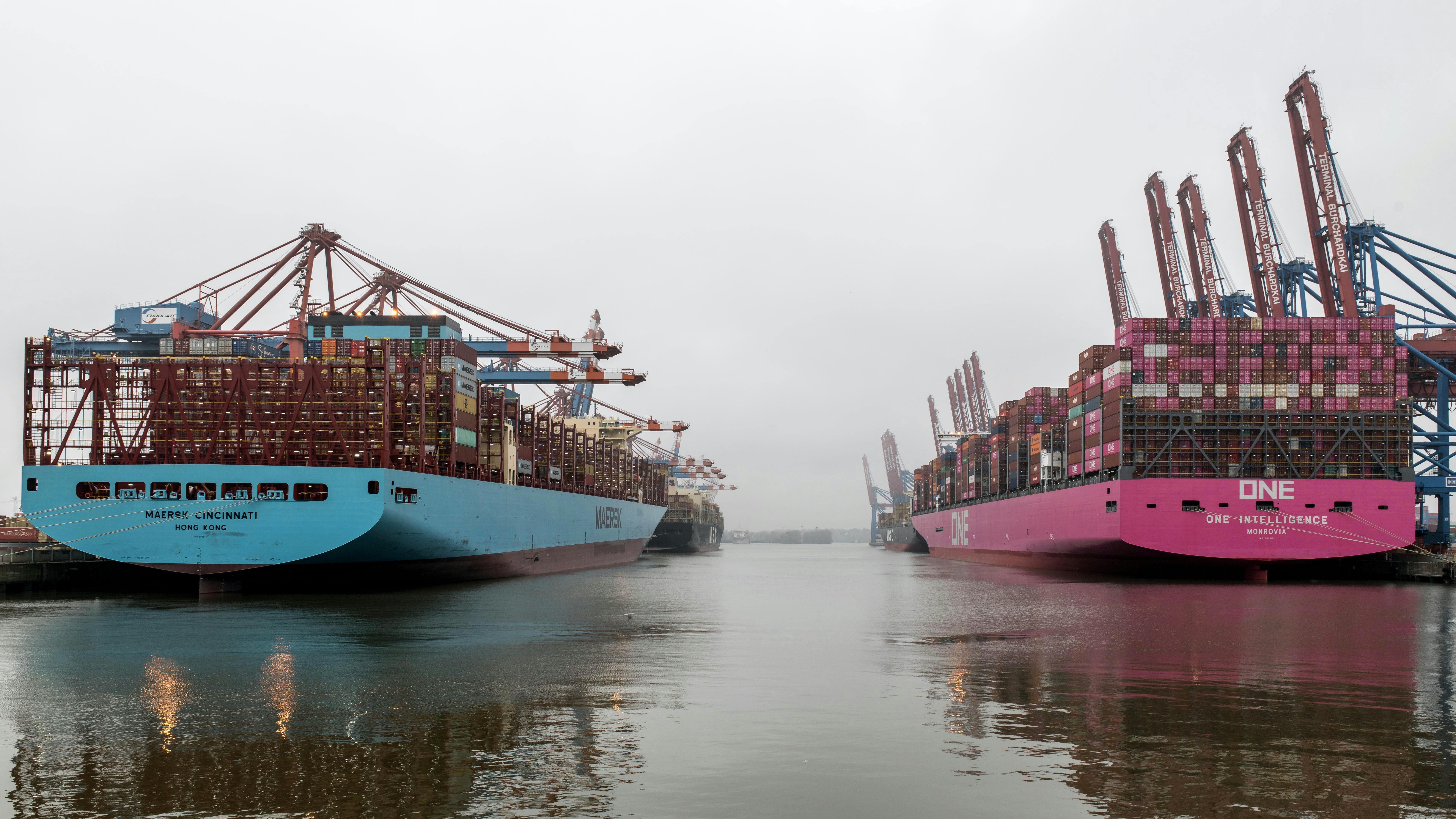 Two pink and blue ships are docked in the water photo – Free Hamburg ...