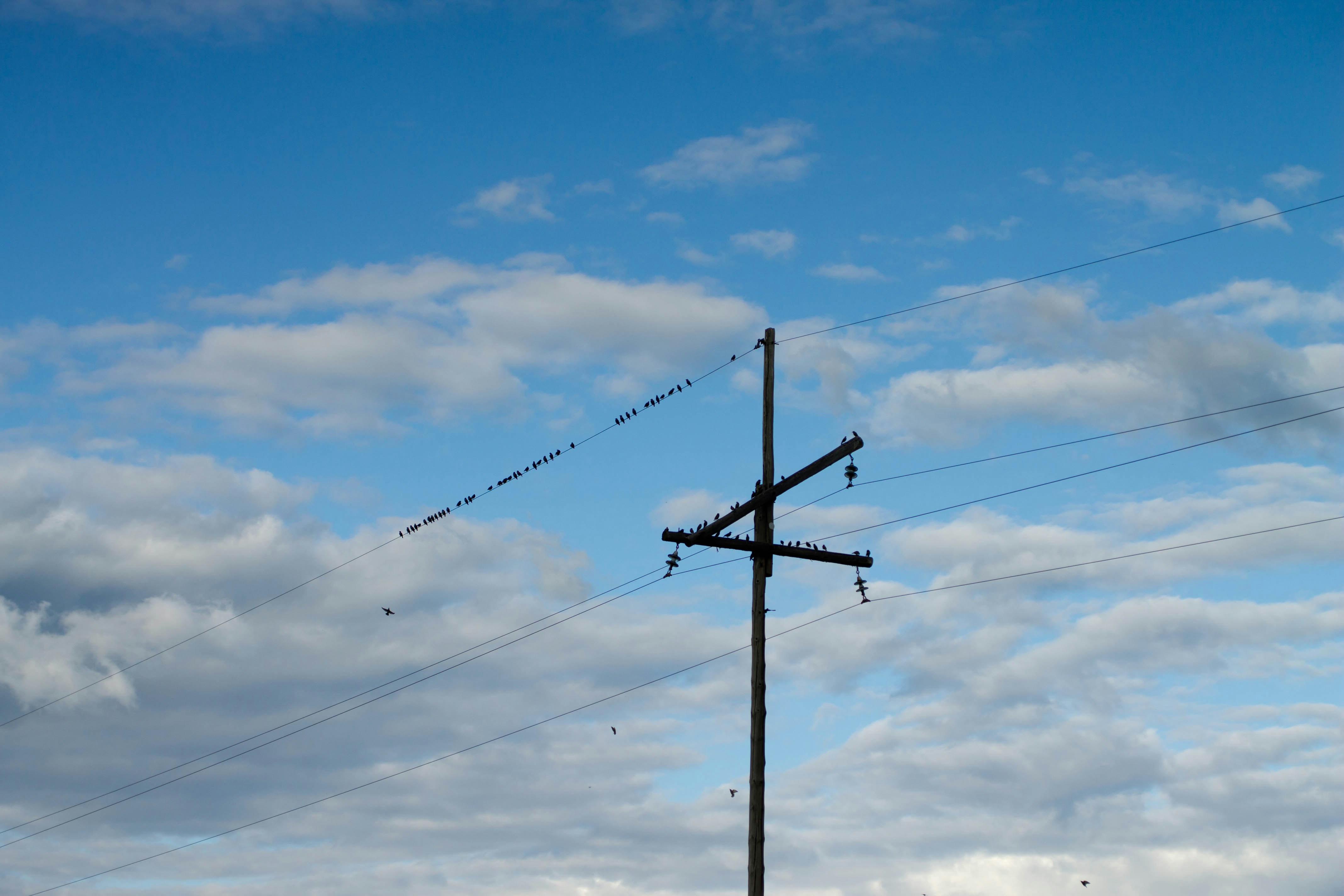 Silhouetted Serenity: A Dance of Power Lines and Sky