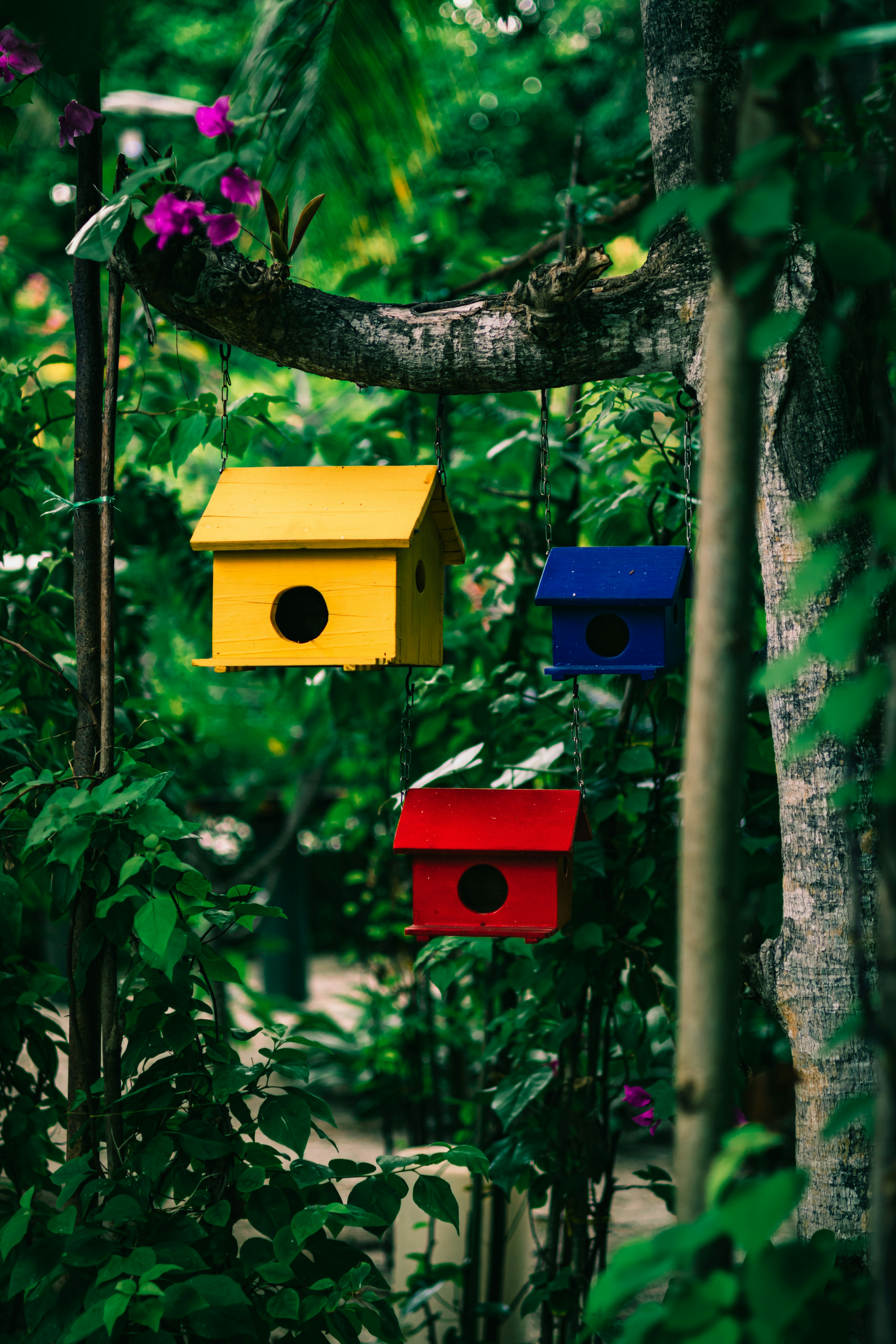 Bird photo shot on Canon EOS R10