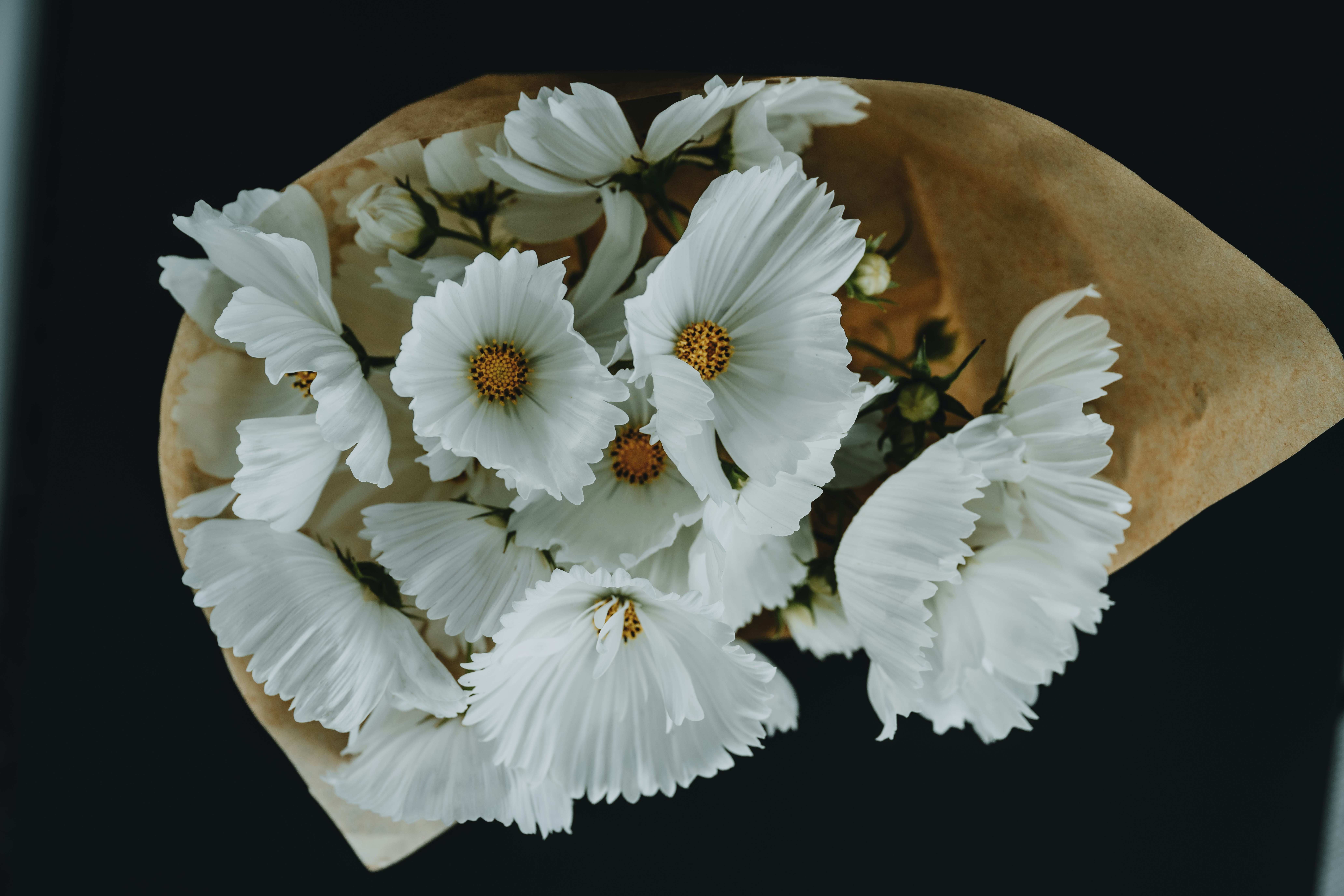 Messages de sympathie : 100+ exemples pour les cartes de condoléances