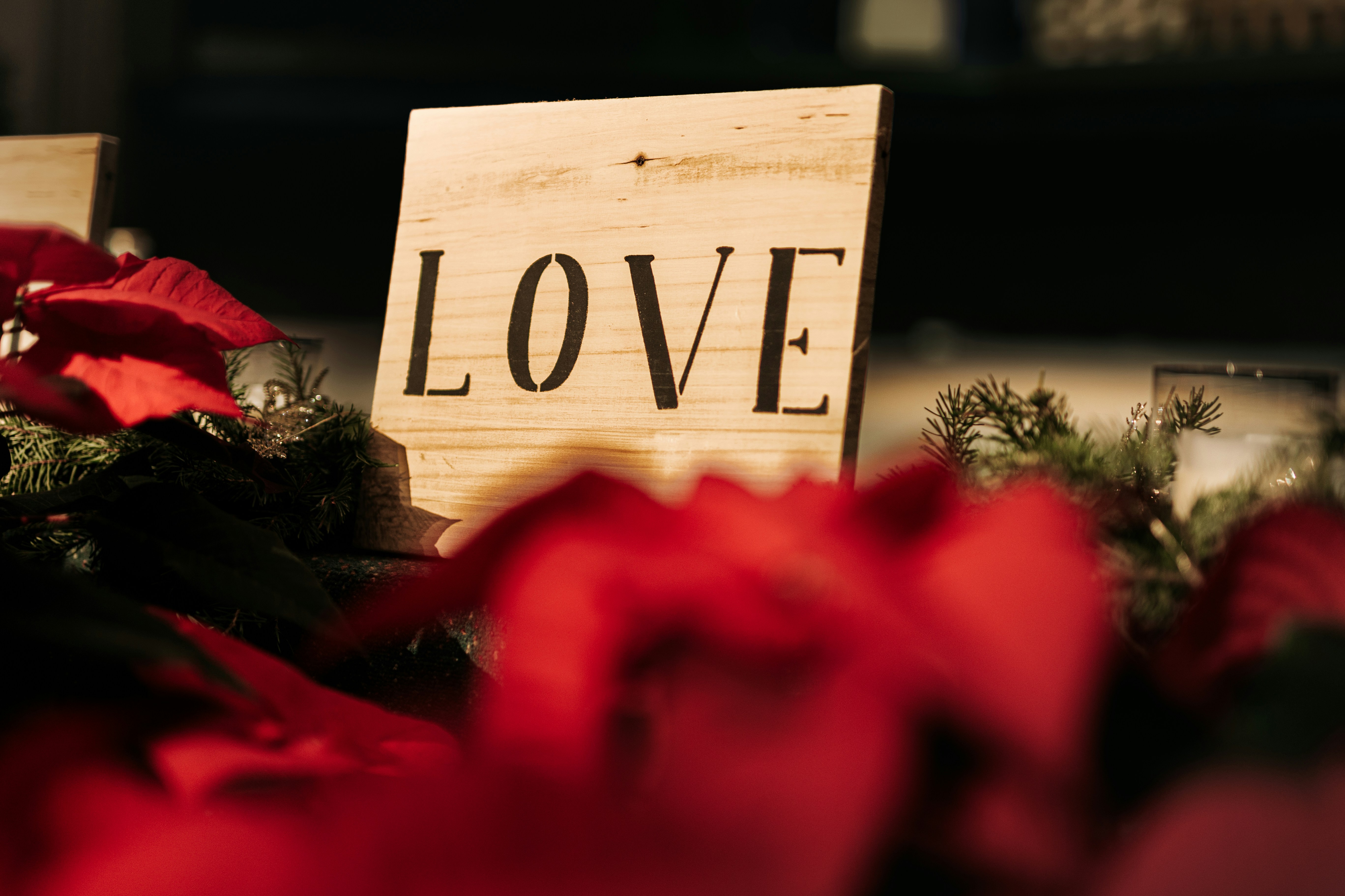 A wooden sign that says love surrounded by flowers photo – Free Happy ...