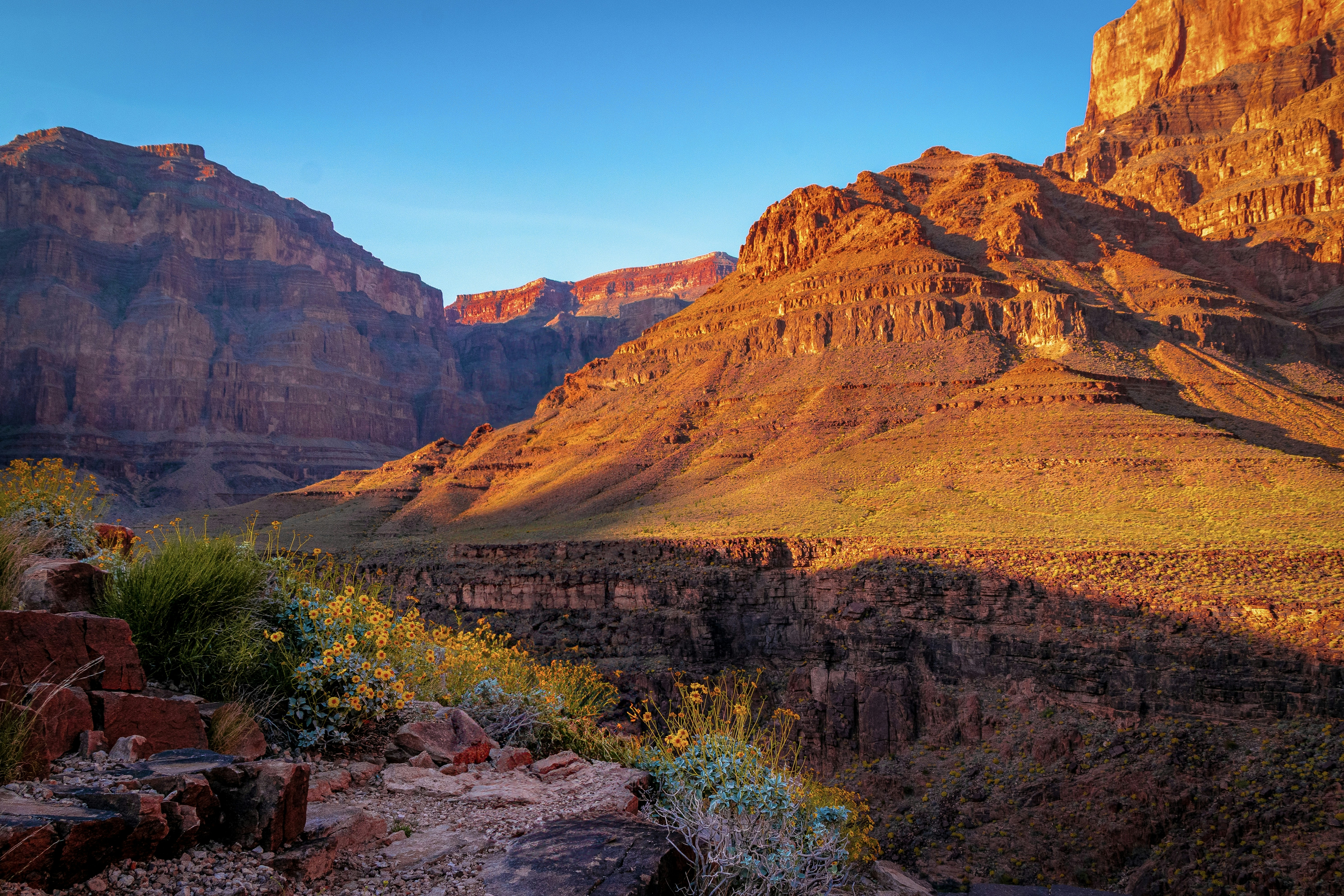 Tom Podmore (@tompodmore86) | Unsplash Photo Community