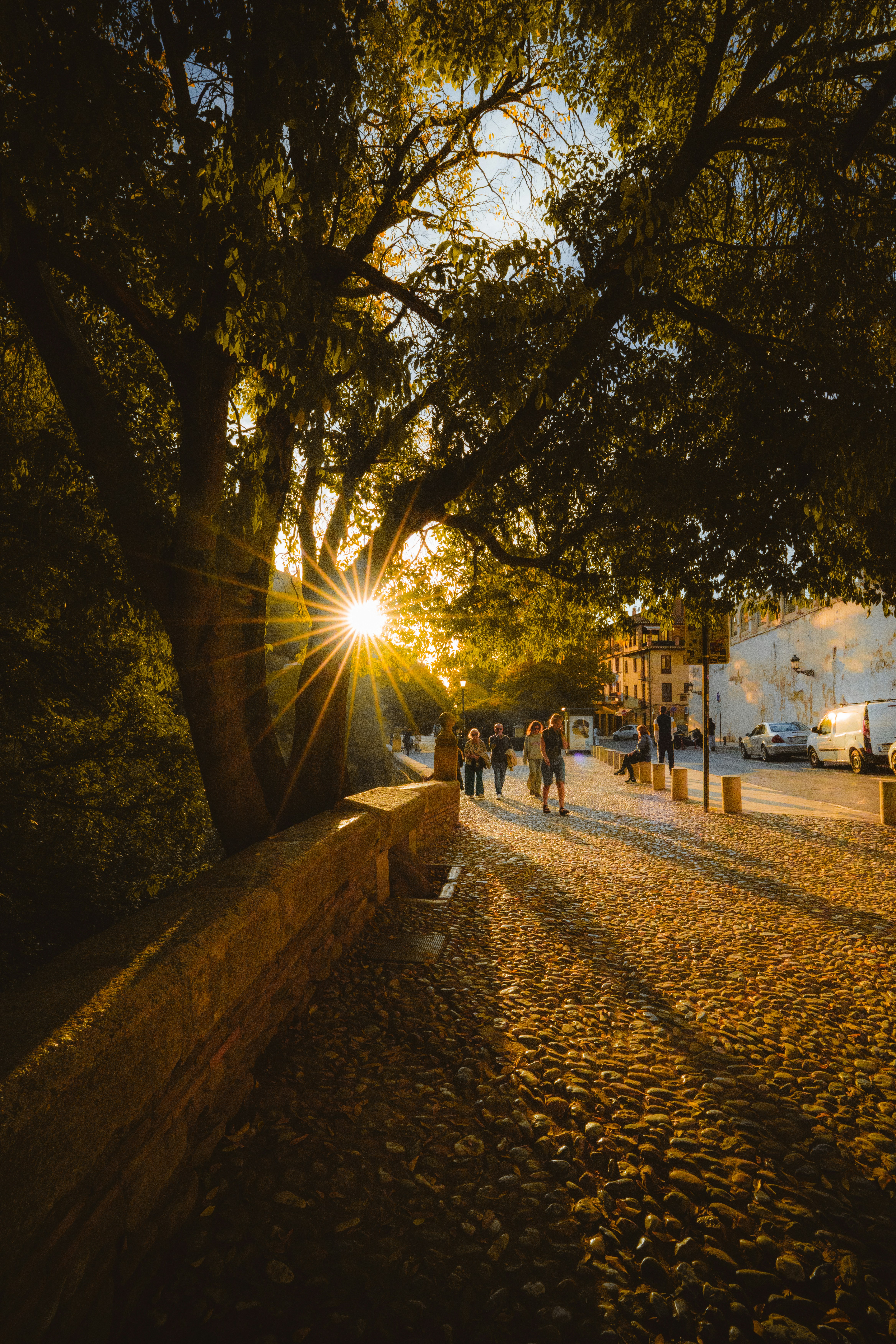 Photo by Martin Masson with Sony Alpha 7 IV