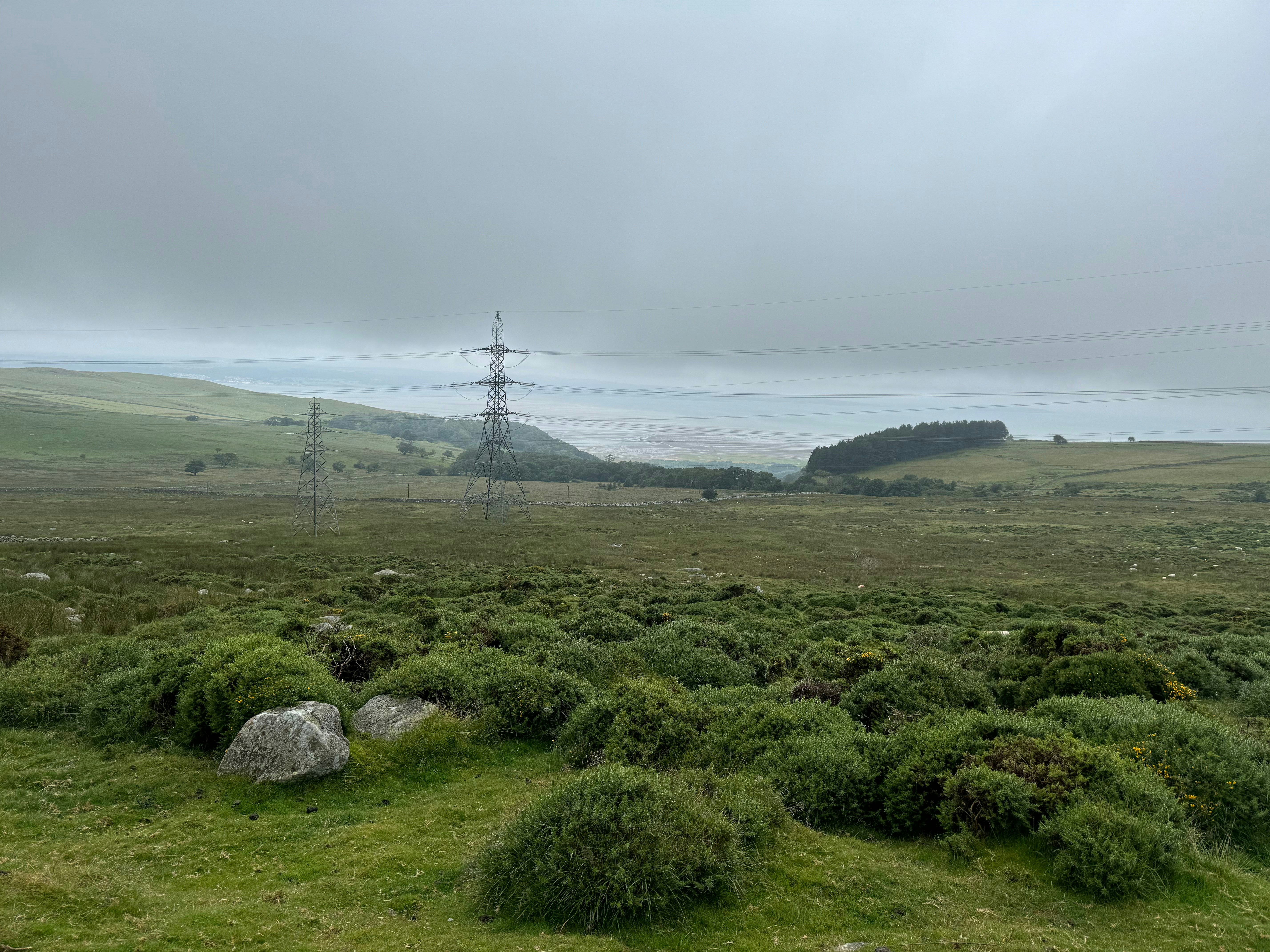 A grassy field with rocks and grass in the foreground photo – Free Land ...