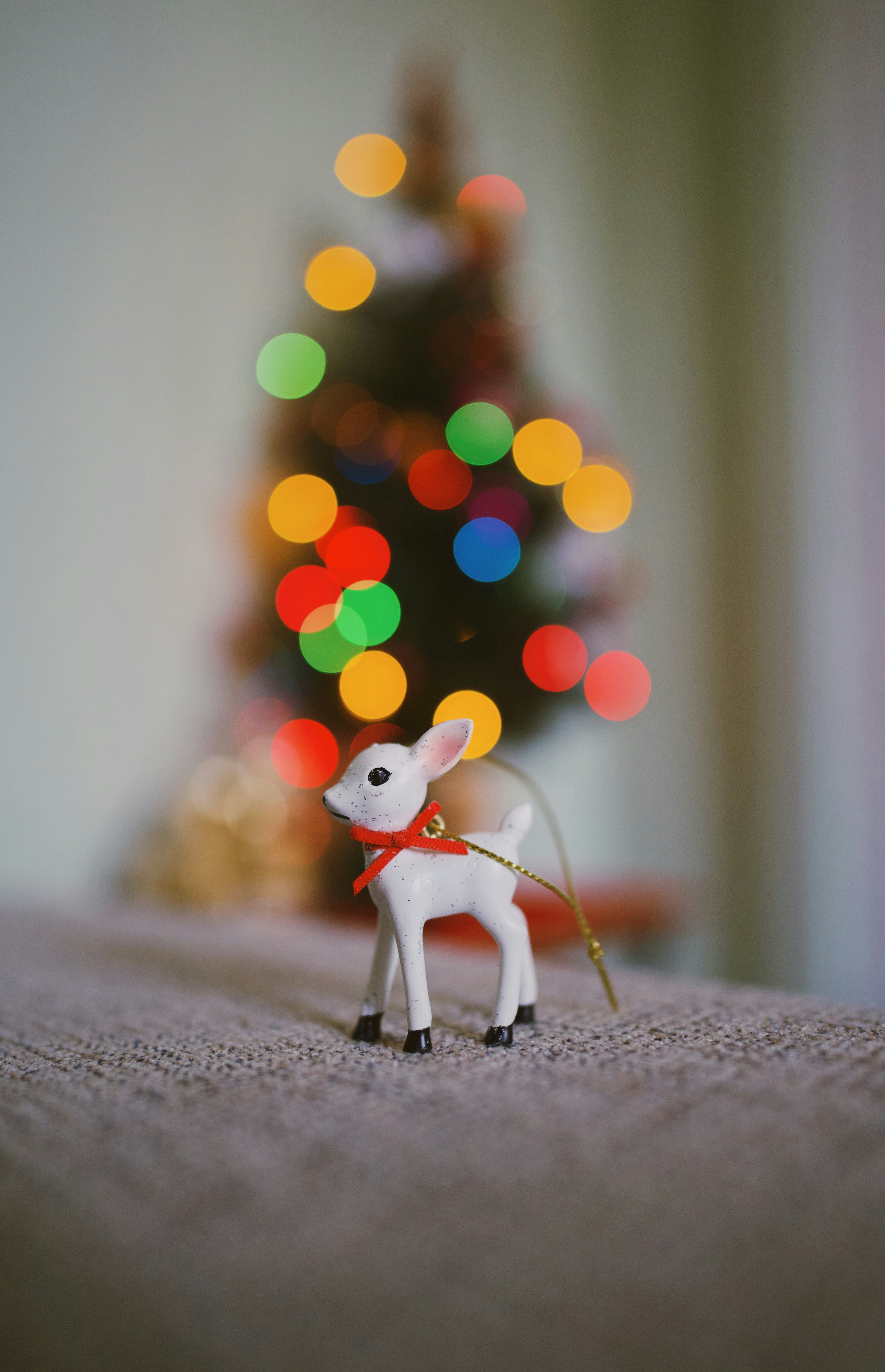 A small toy horse standing in front of a christmas tree photo – Free ...