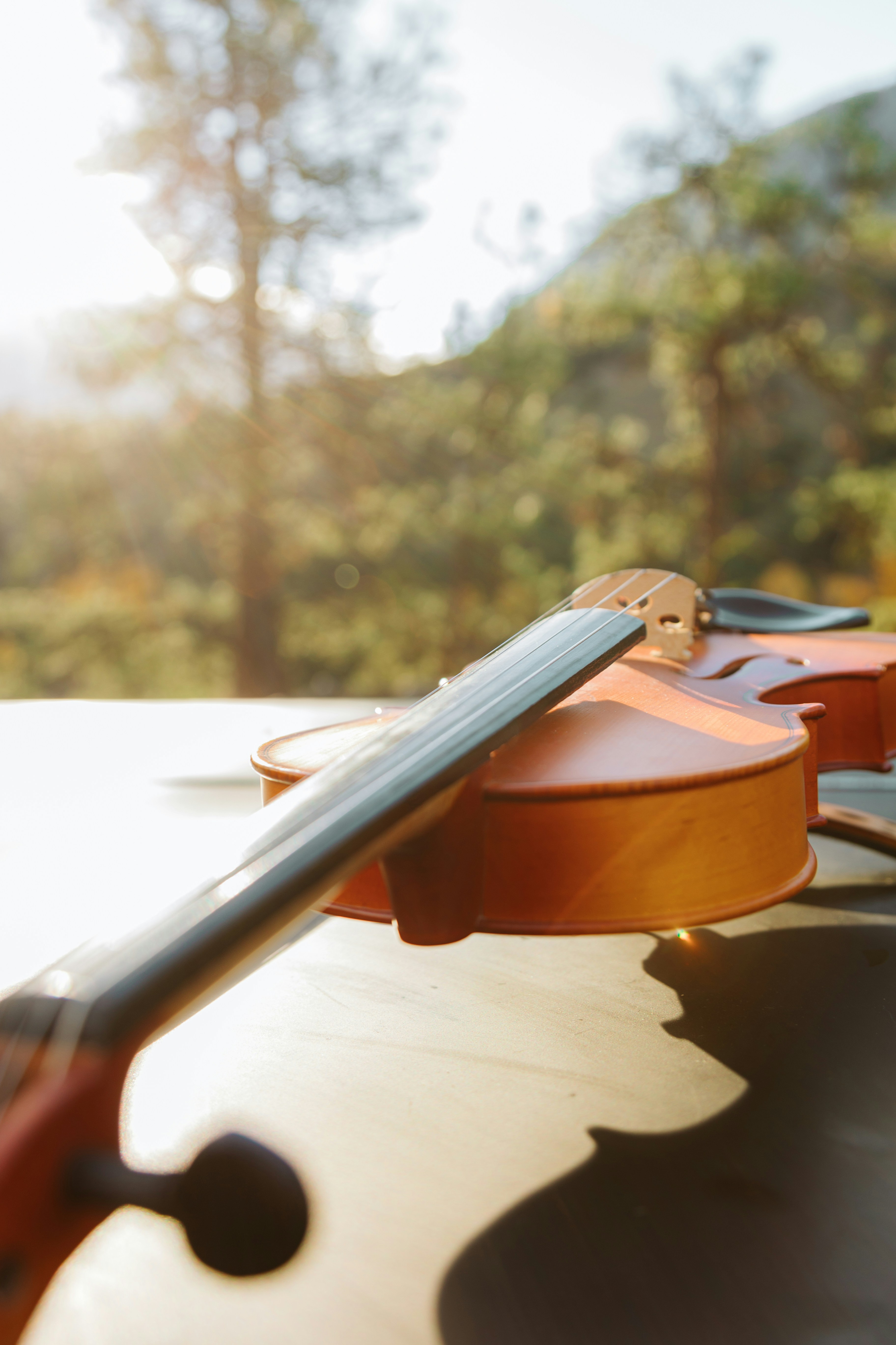 Golden Hour Serenade: a violin resting on a sunlit tabletop