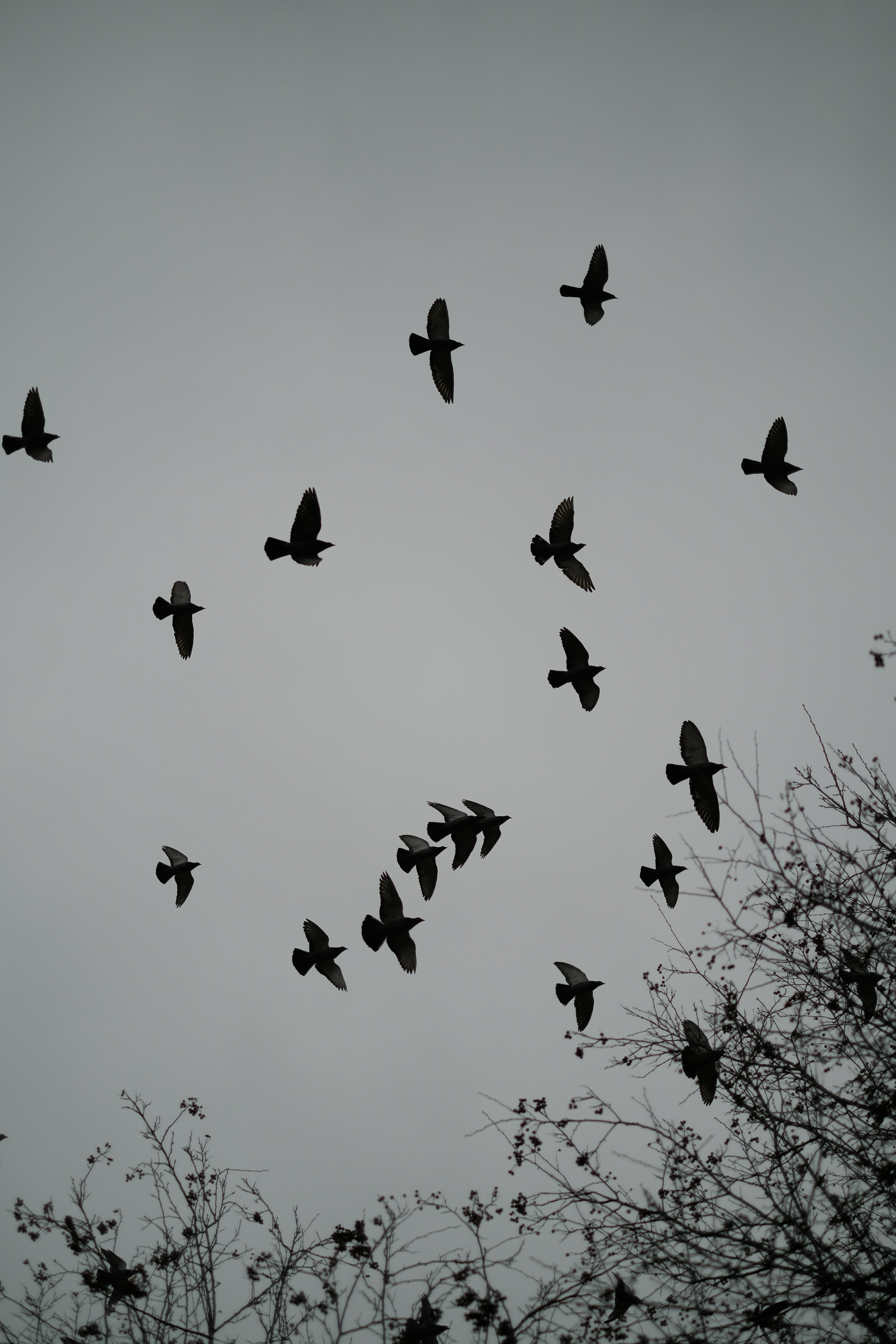 Photo by Emre with Fujifilm X-T30 II